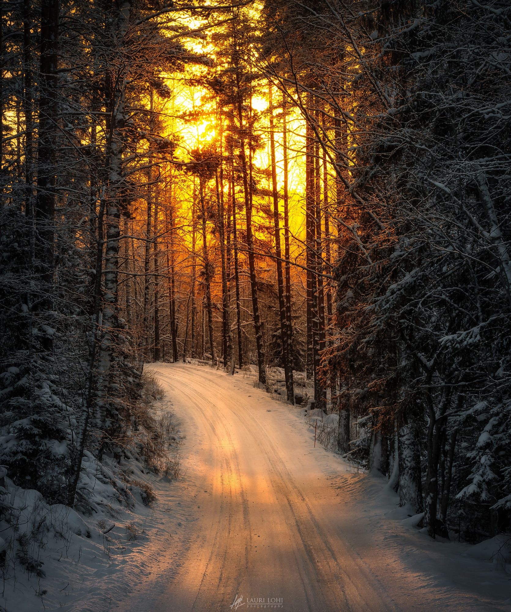 Yellow Winter Wallpapers - Wallpaper Cave