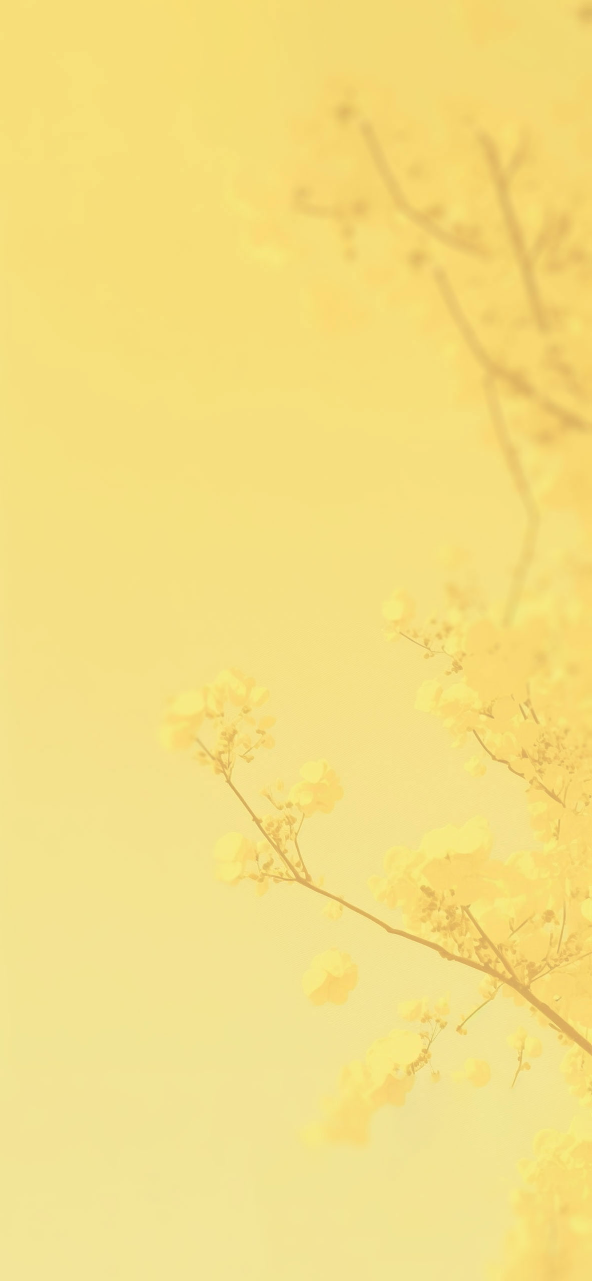 Light Yellow Wallpapers - Wallpaper Cave