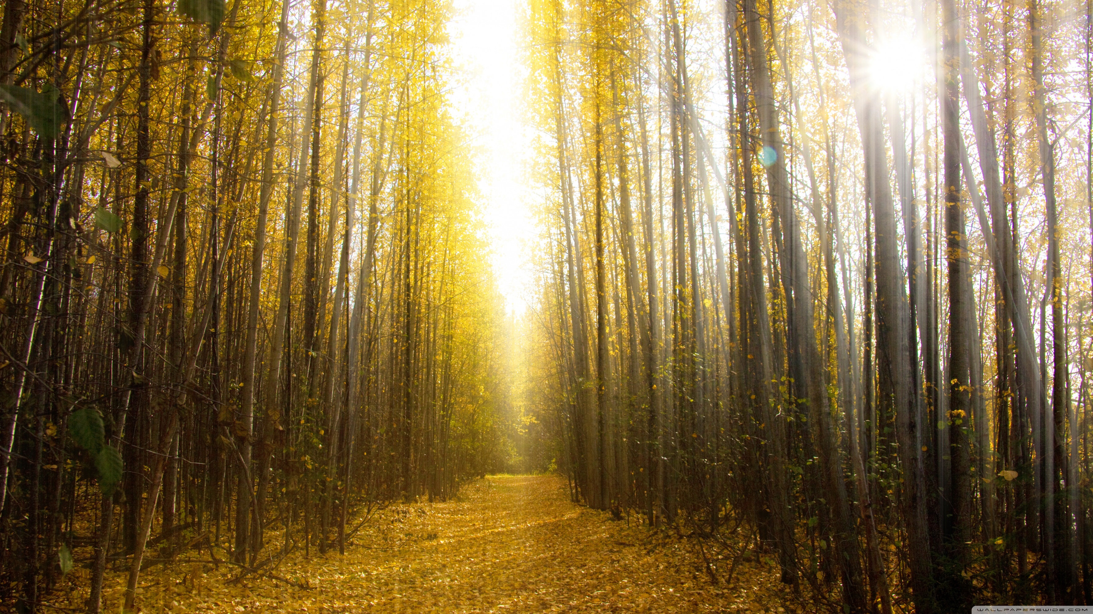 Autumn Alaska Wallpapers - Wallpaper Cave