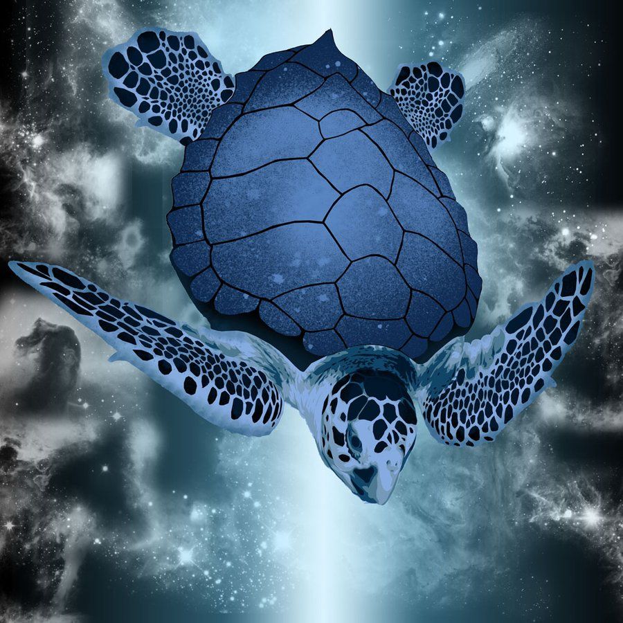 Blue Turtle Wallpapers - Wallpaper Cave