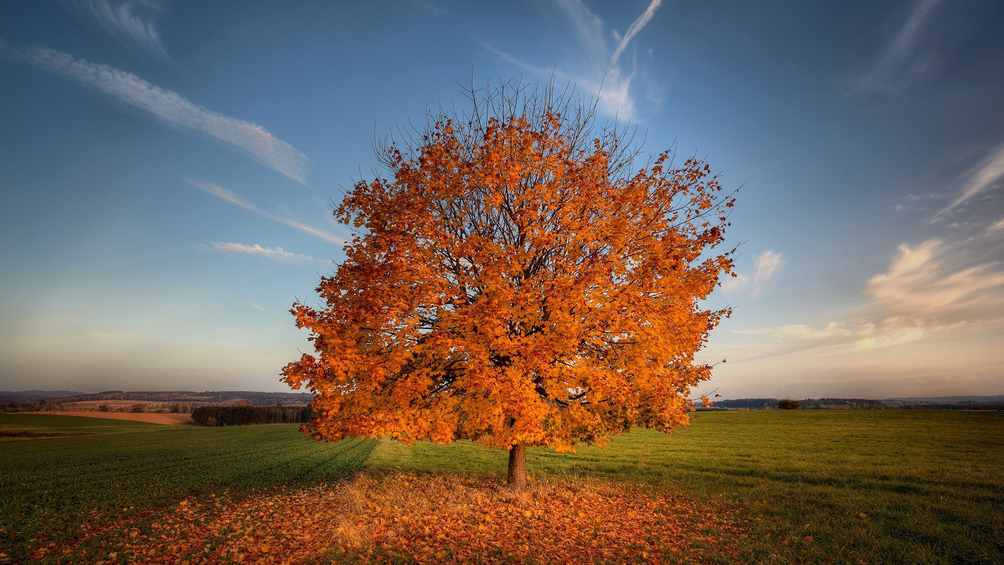 Autumn Field Sunset Wallpapers - Wallpaper Cave