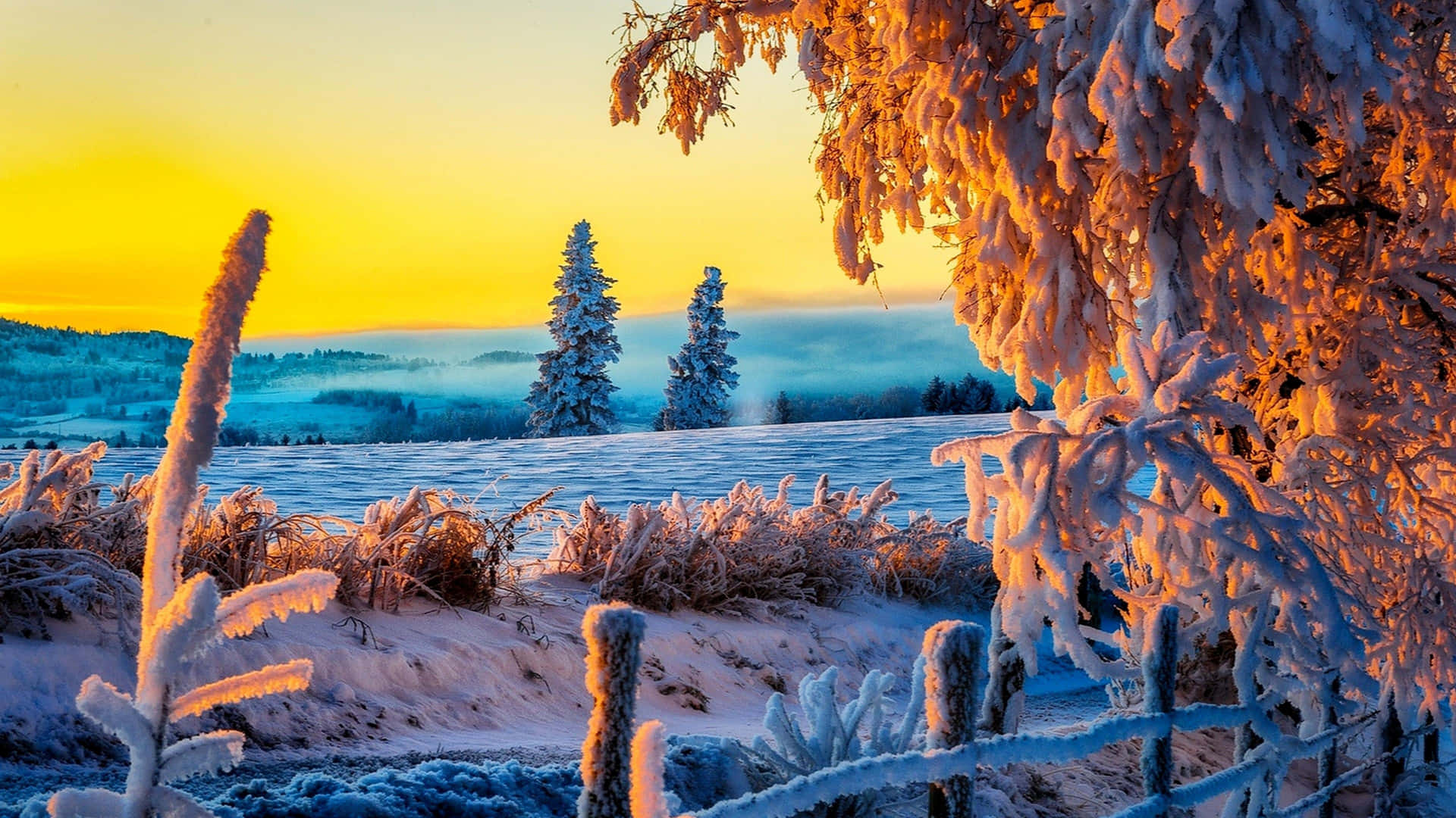 Winter Sunset Snow Wallpapers - Wallpaper Cave