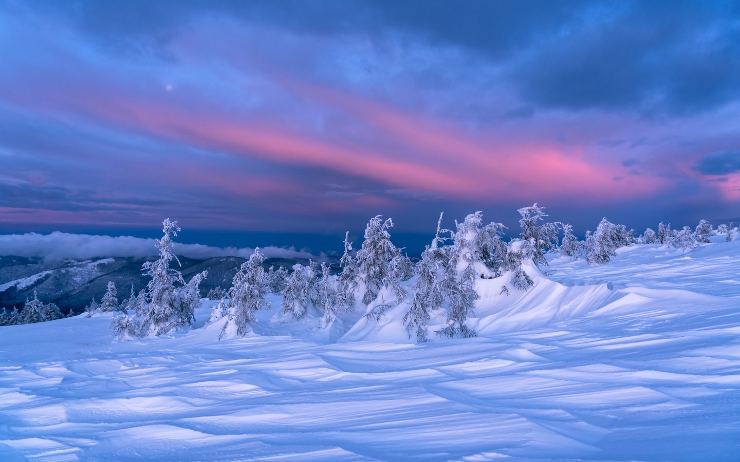 1440x900 Winter HD Wallpapers - Wallpaper Cave