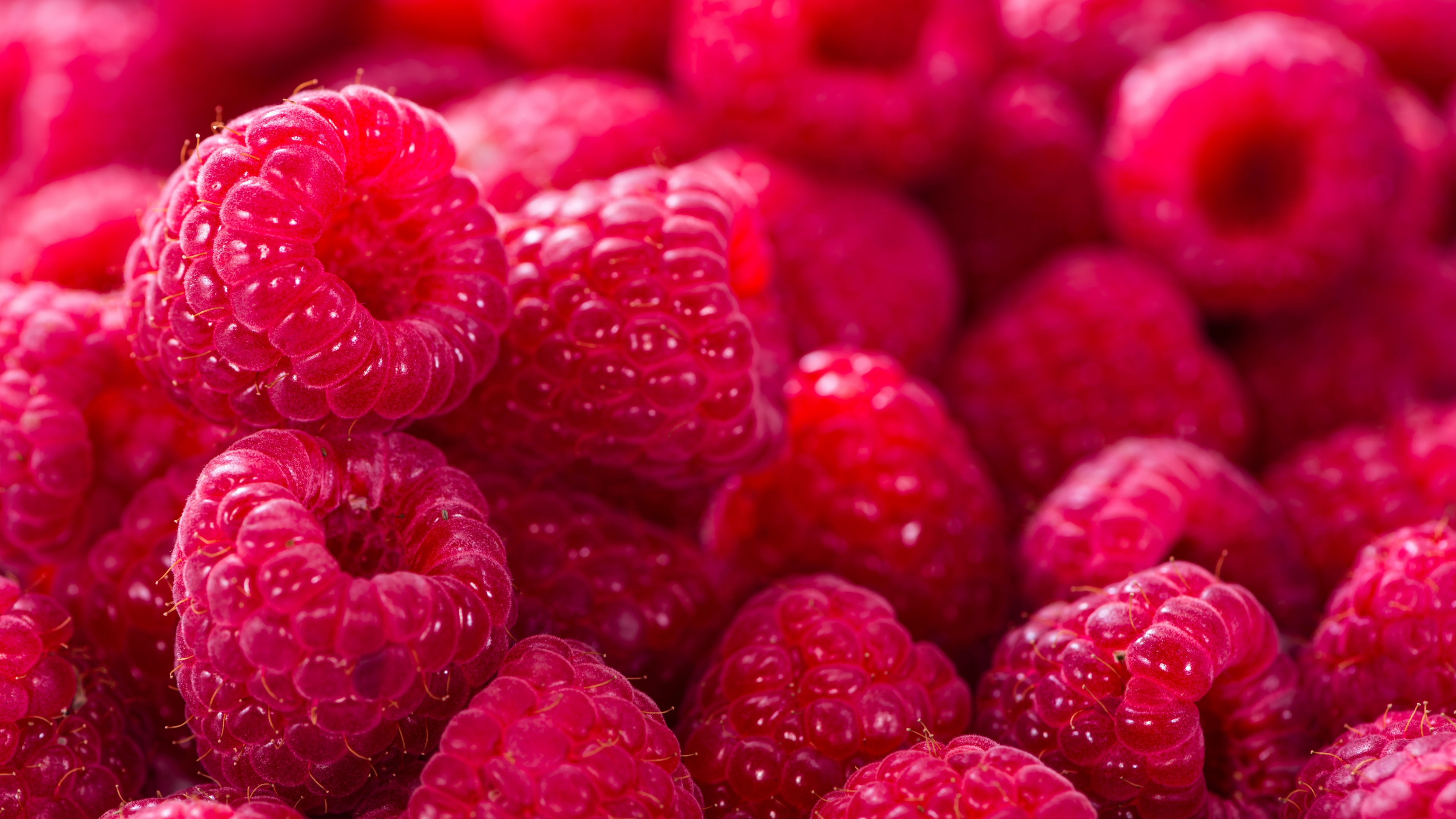 Raspberry 4k Wallpapers - Wallpaper Cave