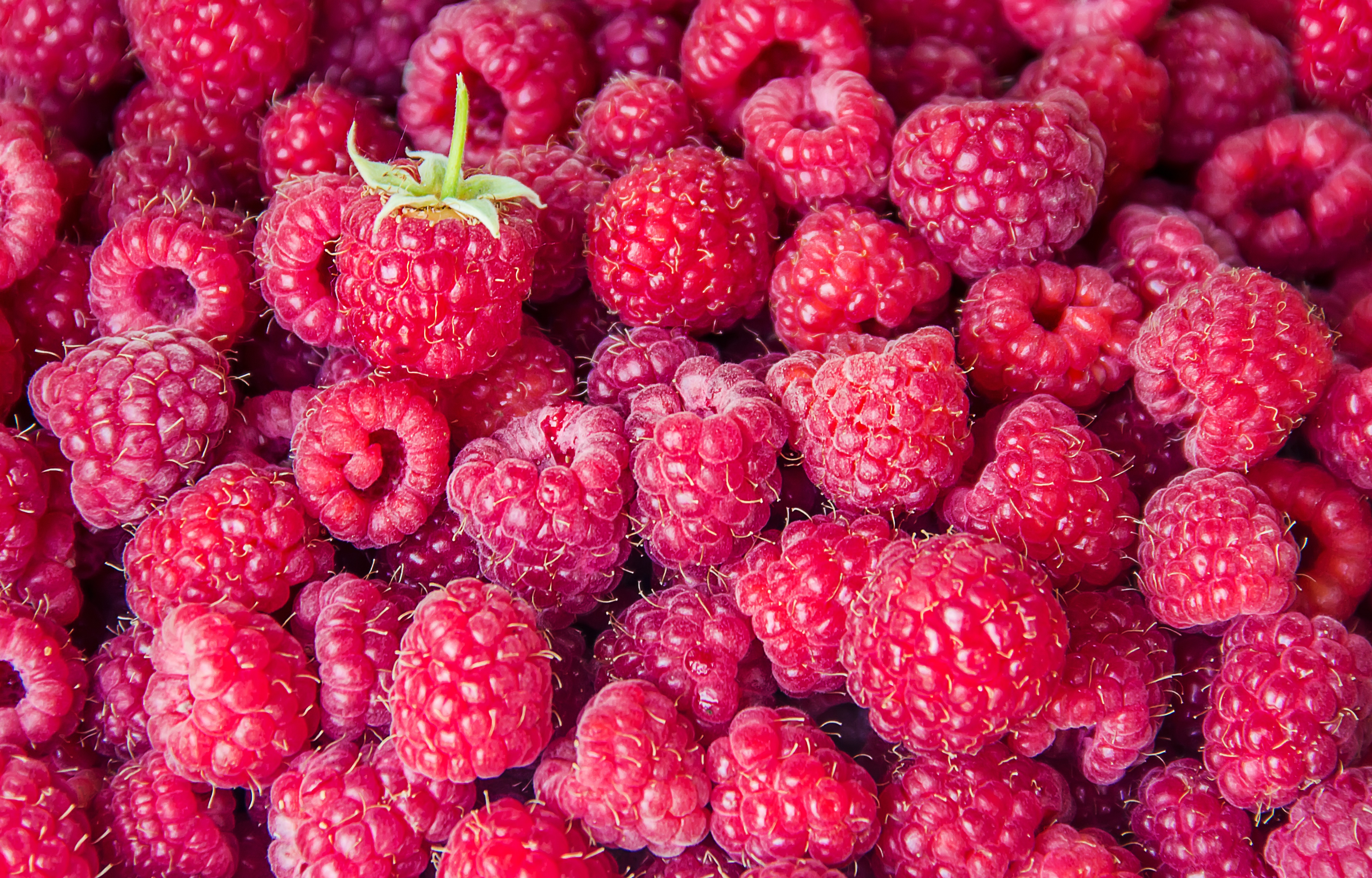 Raspberry 4k Wallpapers - Wallpaper Cave