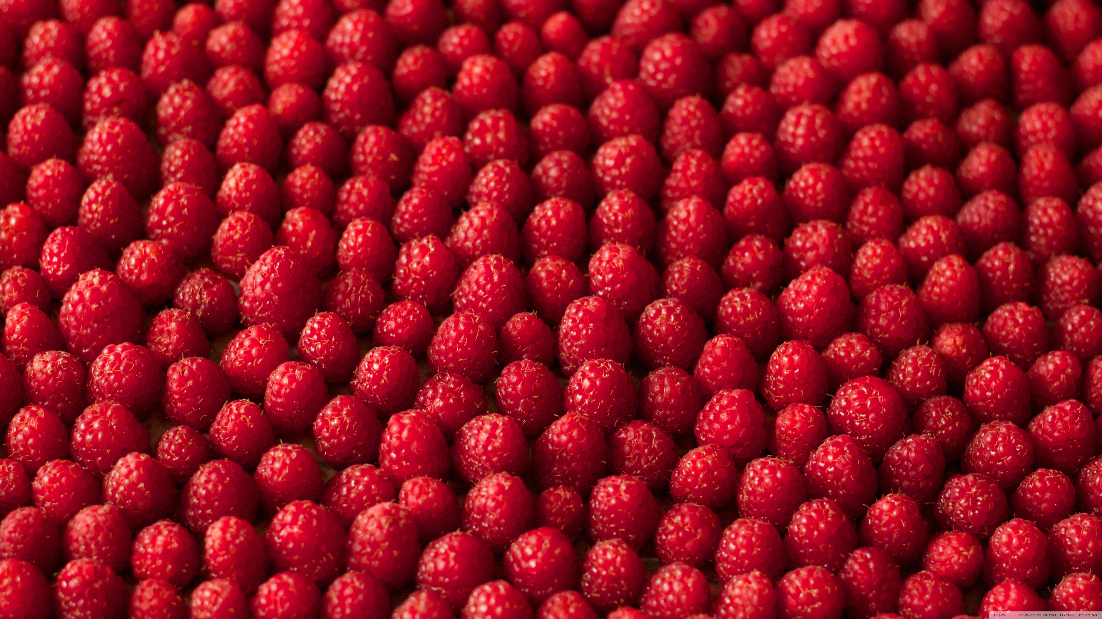Raspberry 4k Wallpapers - Wallpaper Cave