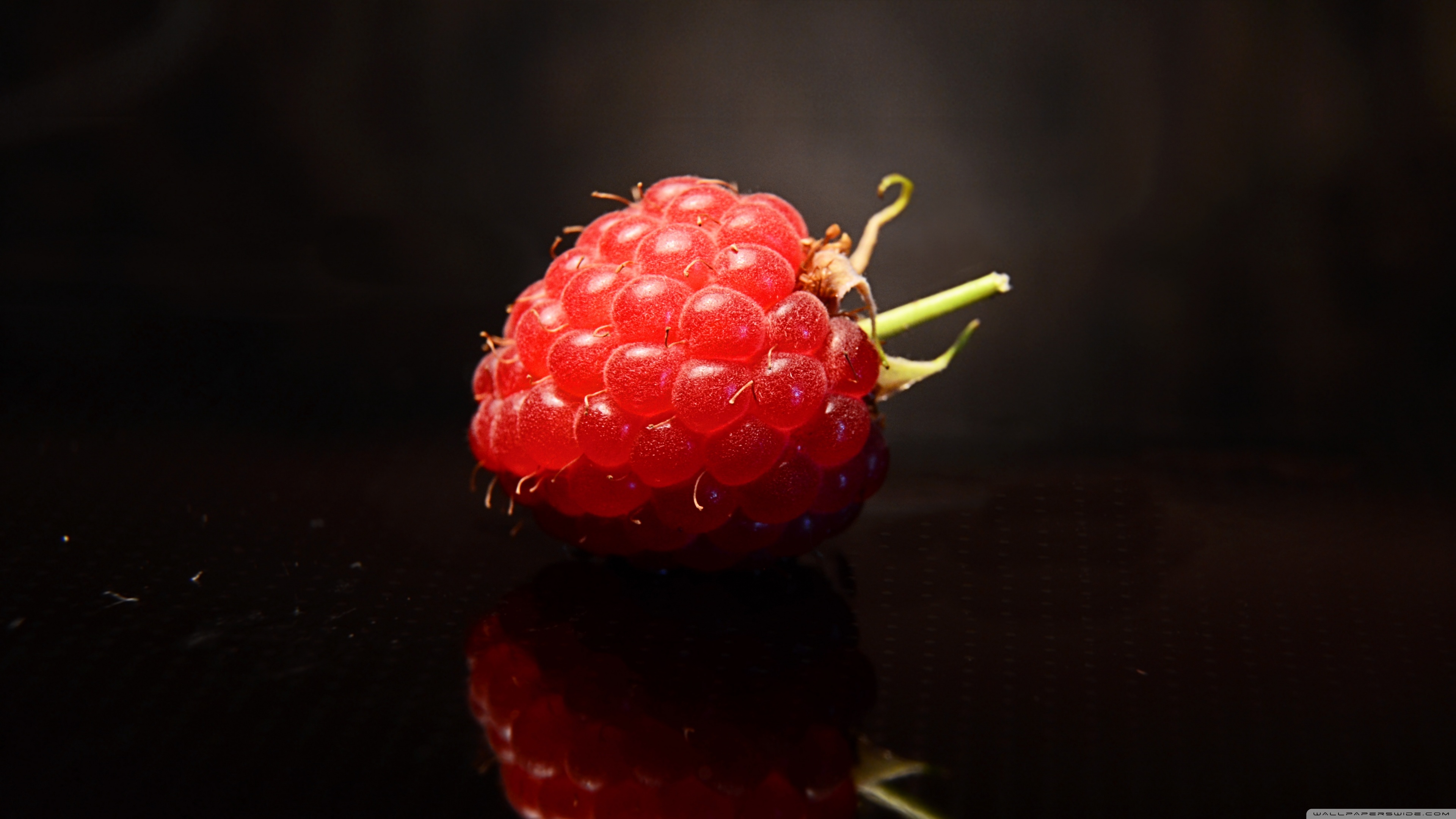 Raspberry 4k Wallpapers - Wallpaper Cave
