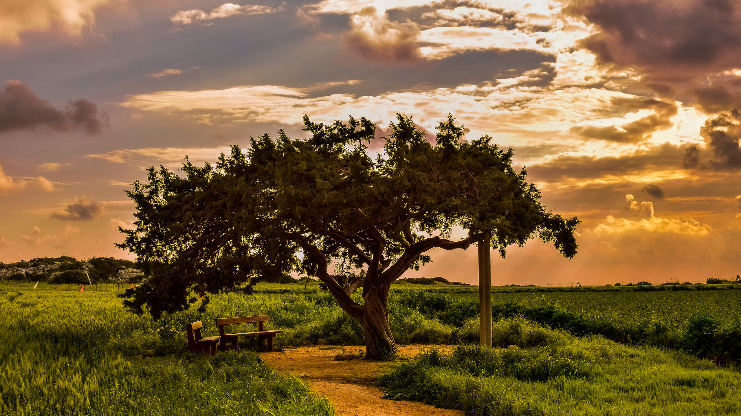 2k Nature Wallpapers - Wallpaper Cave