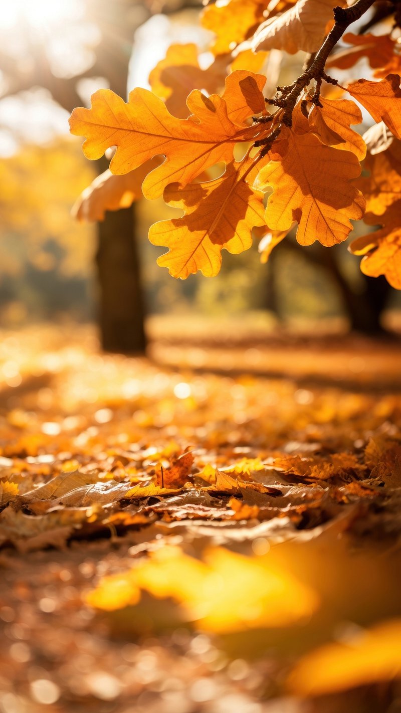 Cute Fall Phone Wallpapers - Wallpaper Cave