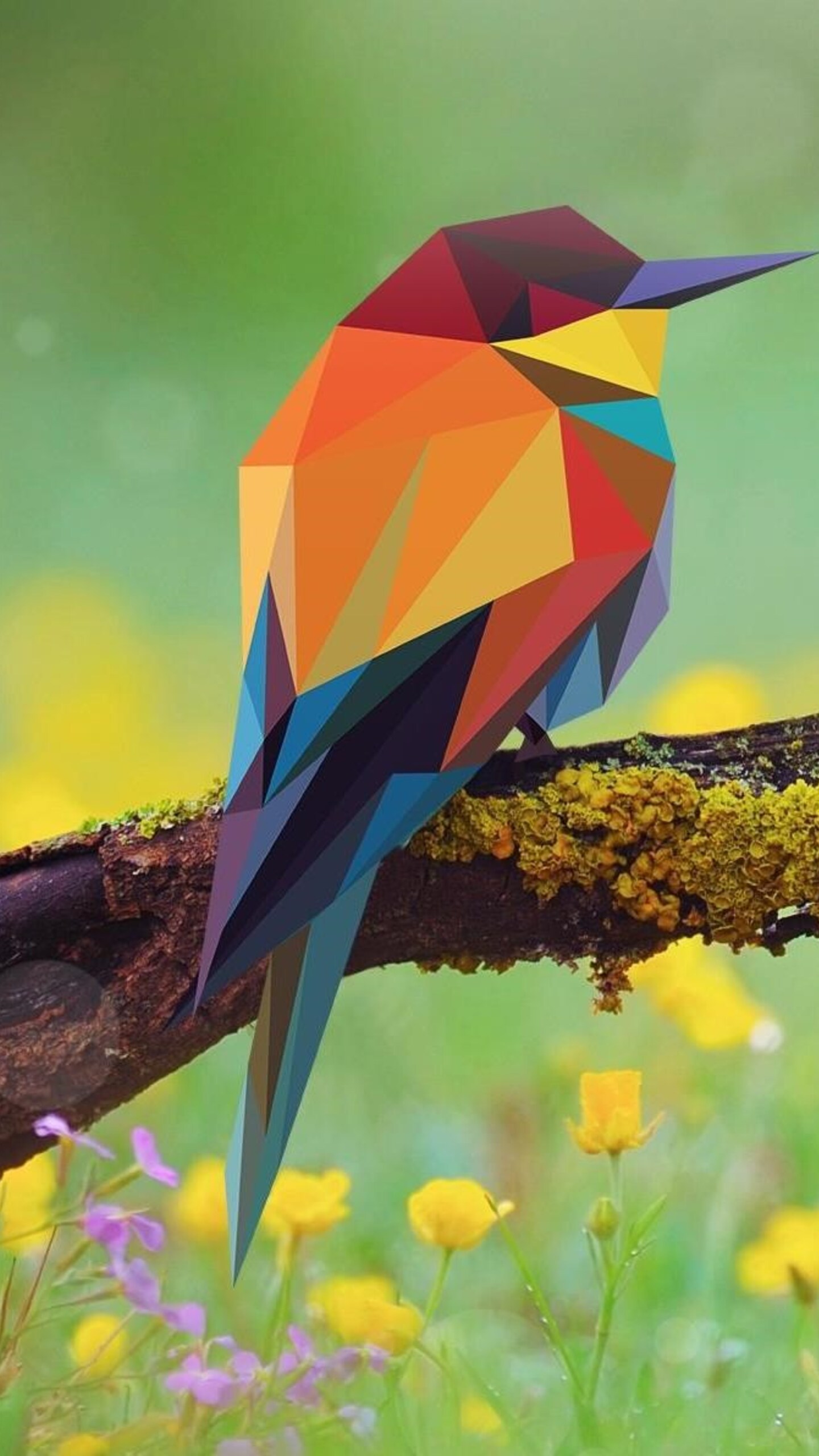 Abstract Bird Wallpapers 28+Awesome Good Morning Birds Images, Photos