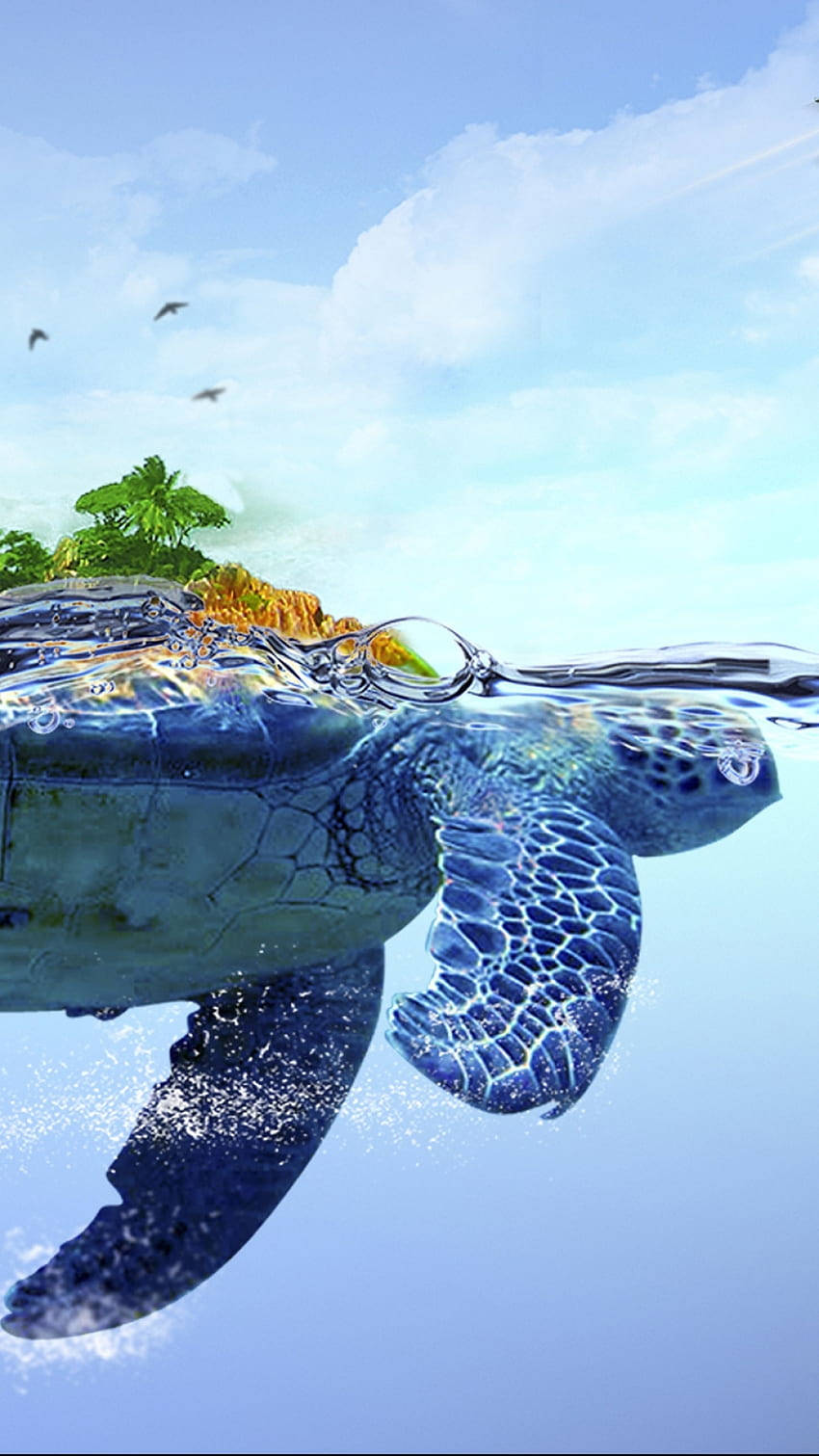 Blue Sea Turtle Wallpapers - Wallpaper Cave