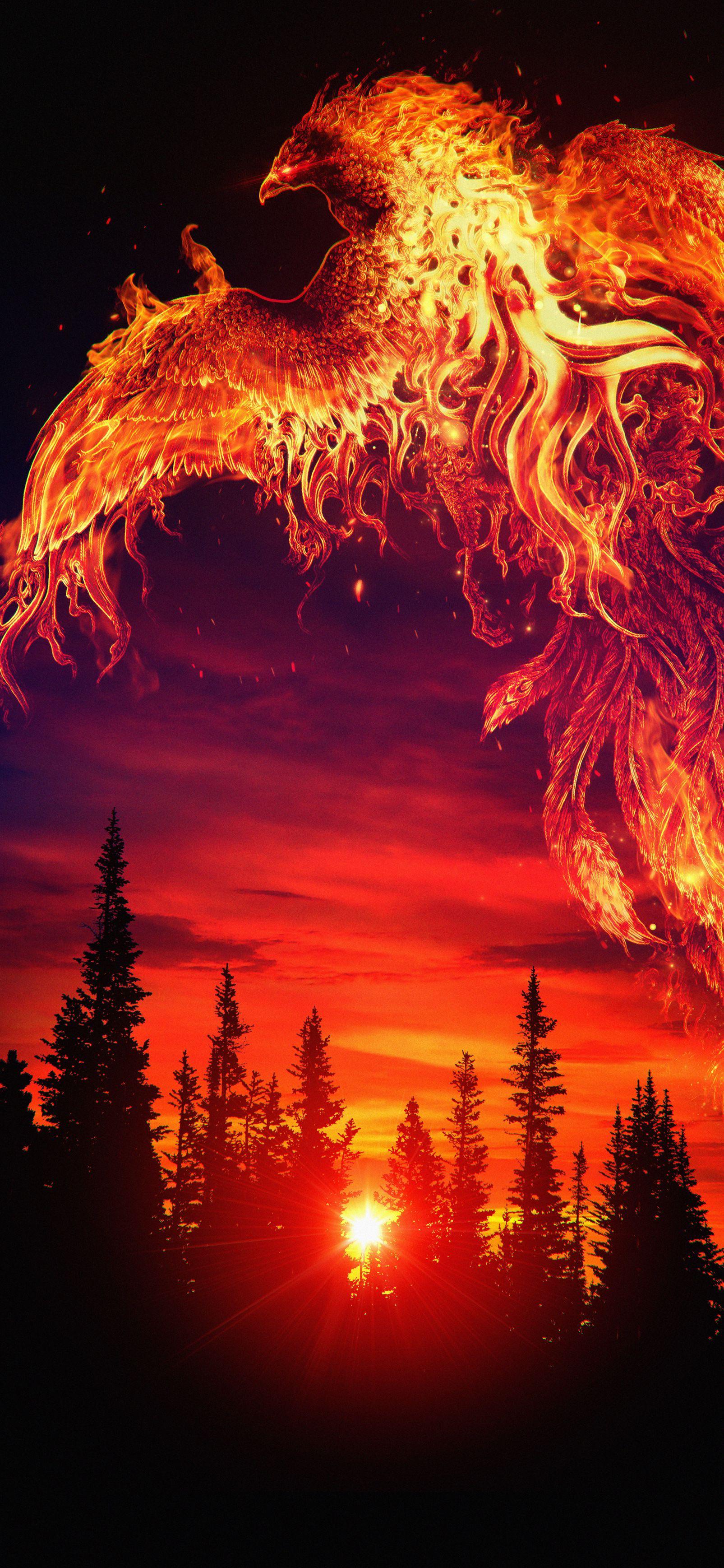 Phoenix Phone Wallpapers - Wallpaper Cave
