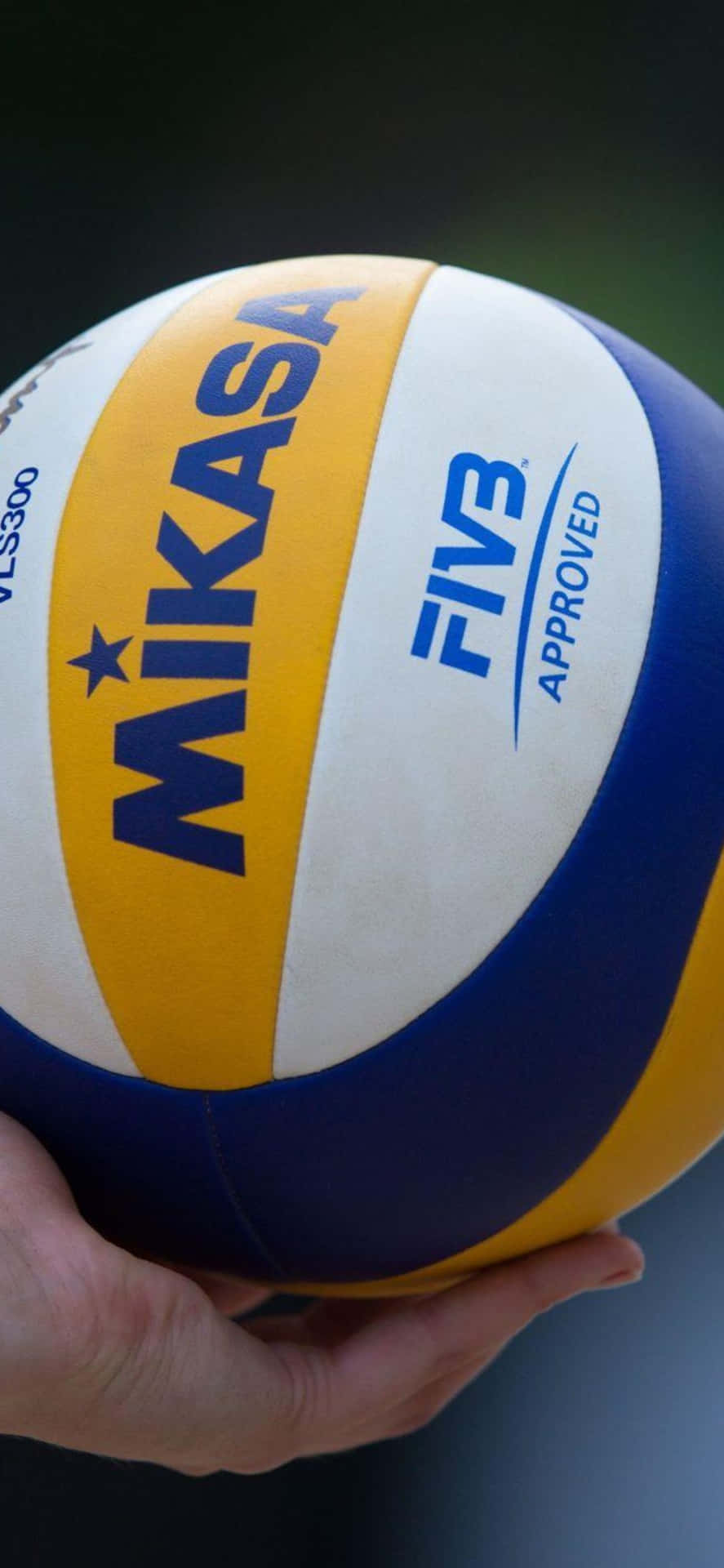 Volleyball iPhone Wallpapers - Wallpaper Cave