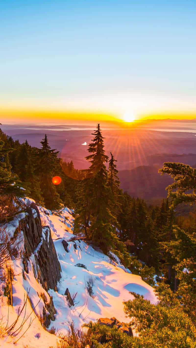 Spring Sunrise Vertical Wallpapers - Wallpaper Cave