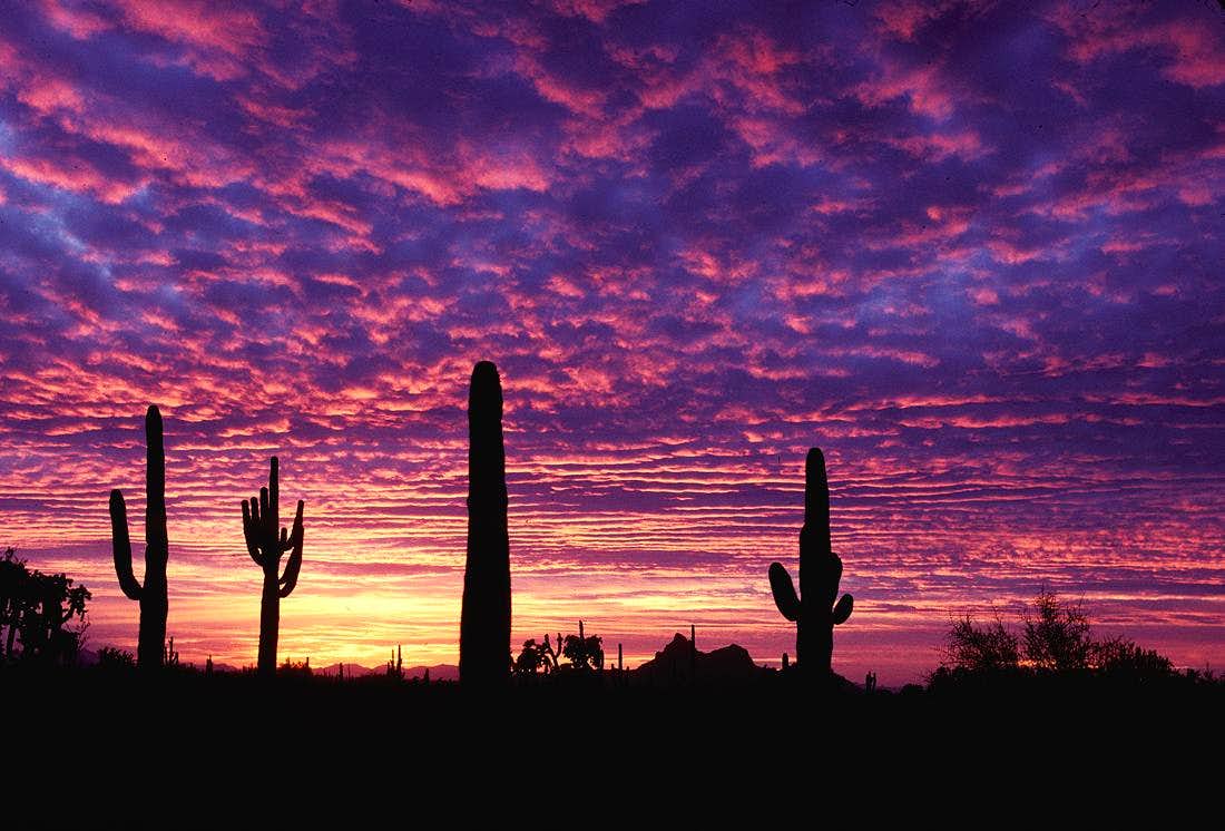 Pretty Arizona Wallpapers - Wallpaper Cave