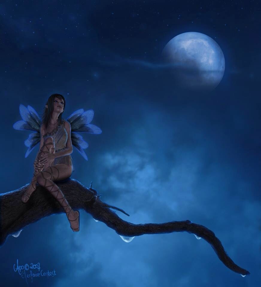 Fairy Night Wallpapers - Wallpaper Cave