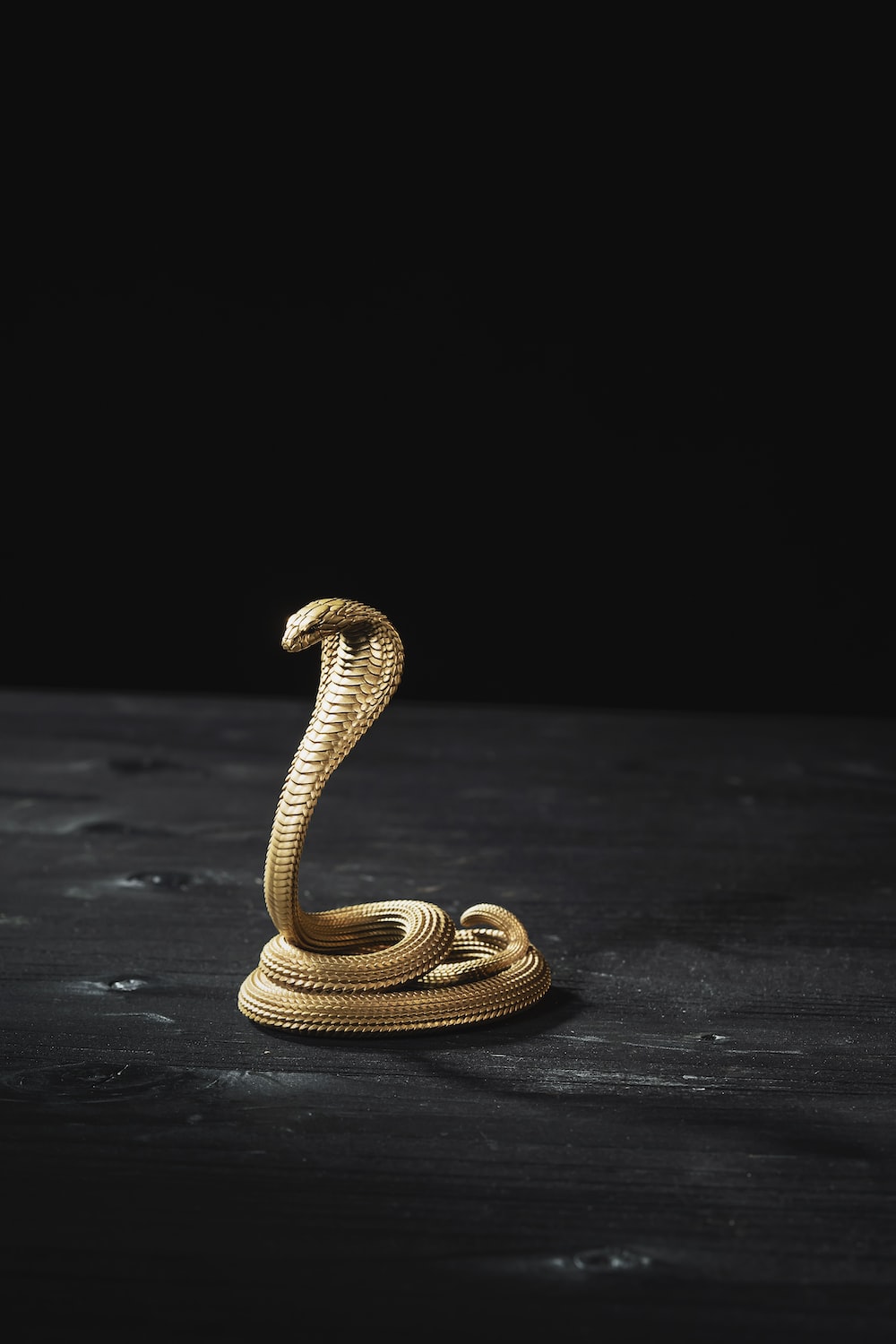 Snake Black And Gold Wallpapers - Wallpaper Cave
