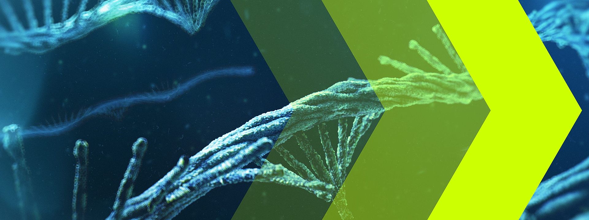 1920x720 Wallpapers - Wallpaper Cave