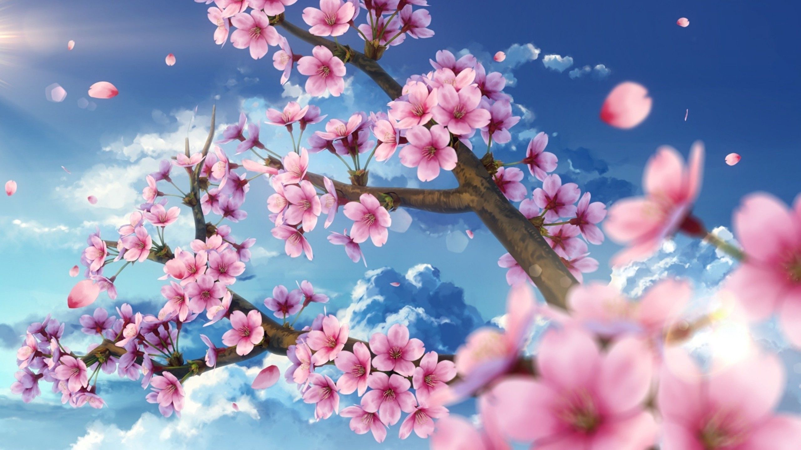 Cherry Blossom 4k PC Wallpapers - Wallpaper Cave