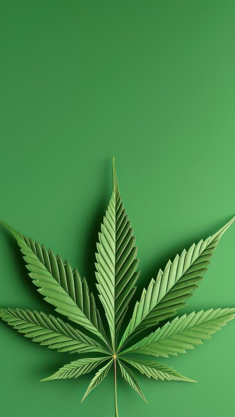 Marijuana Leaf Wallpapers Hd Wallpaper Cave