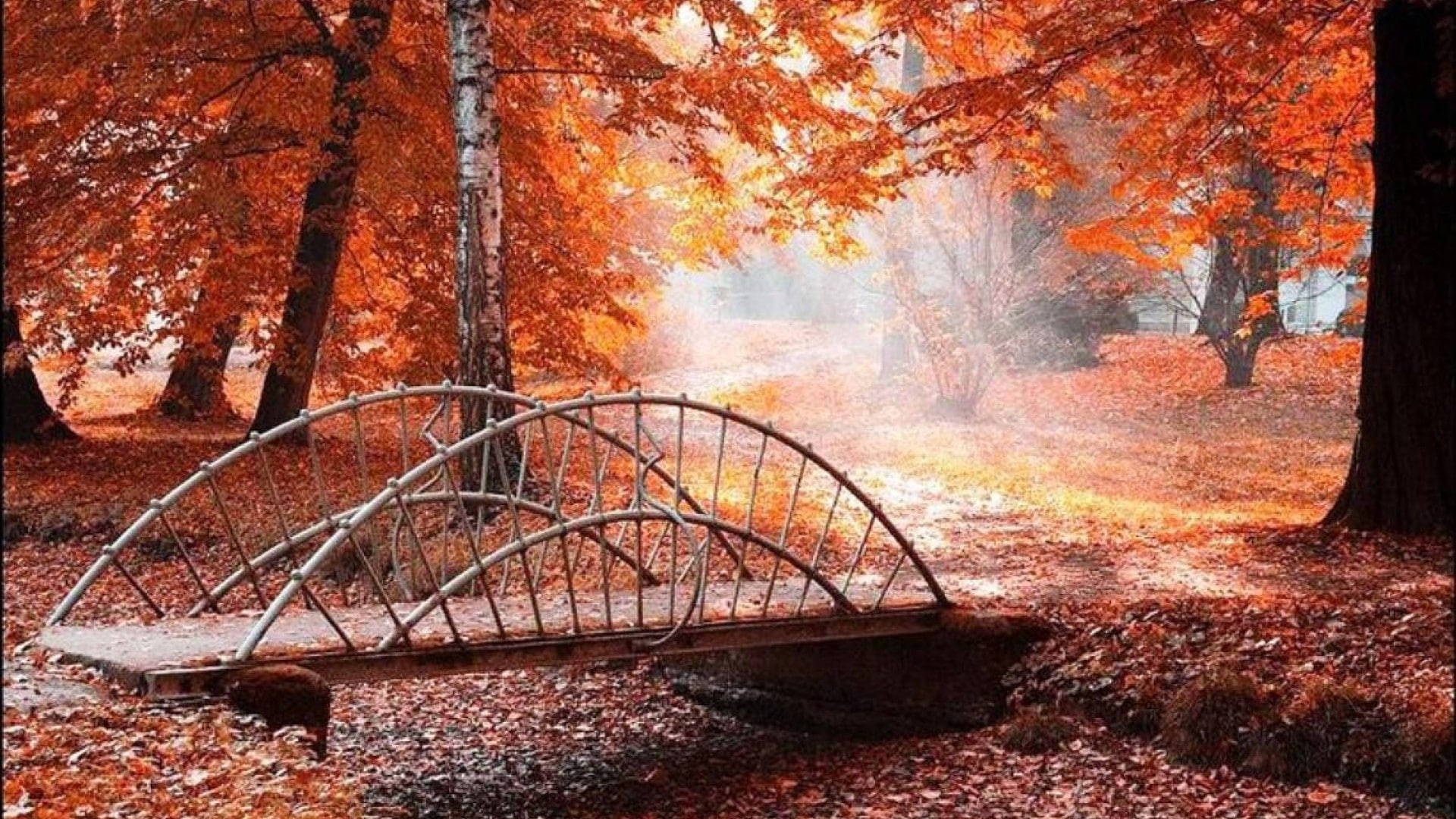 Autumn Forest Bridge Wallpapers - Wallpaper Cave