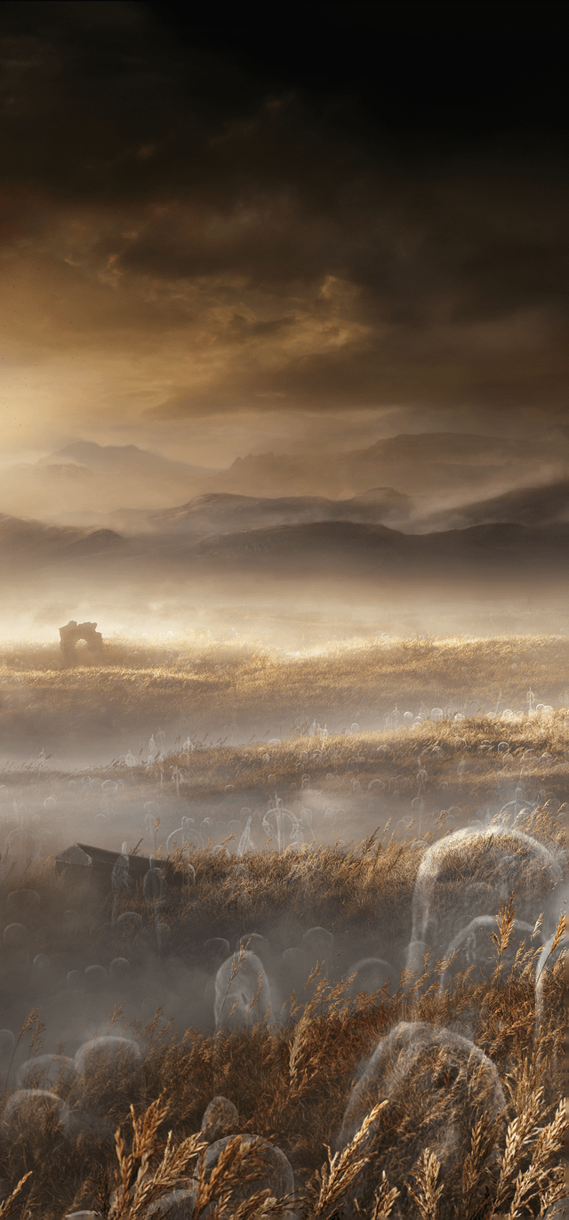 Erdtree Wallpapers - Wallpaper Cave