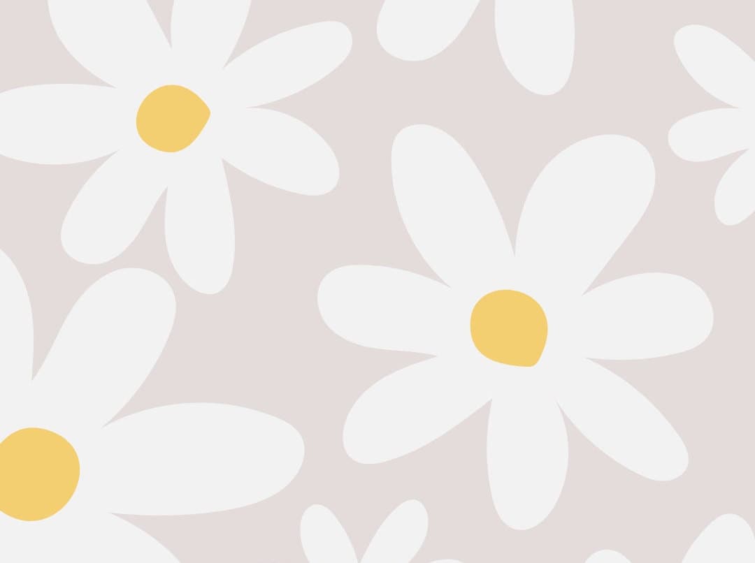 Aesthetic Daisies Wallpapers - Wallpaper Cave