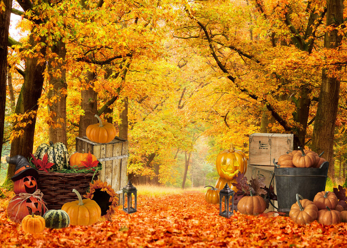 Rustic Harvest Wallpaper Harvest Scene Background Images, HD Pictures