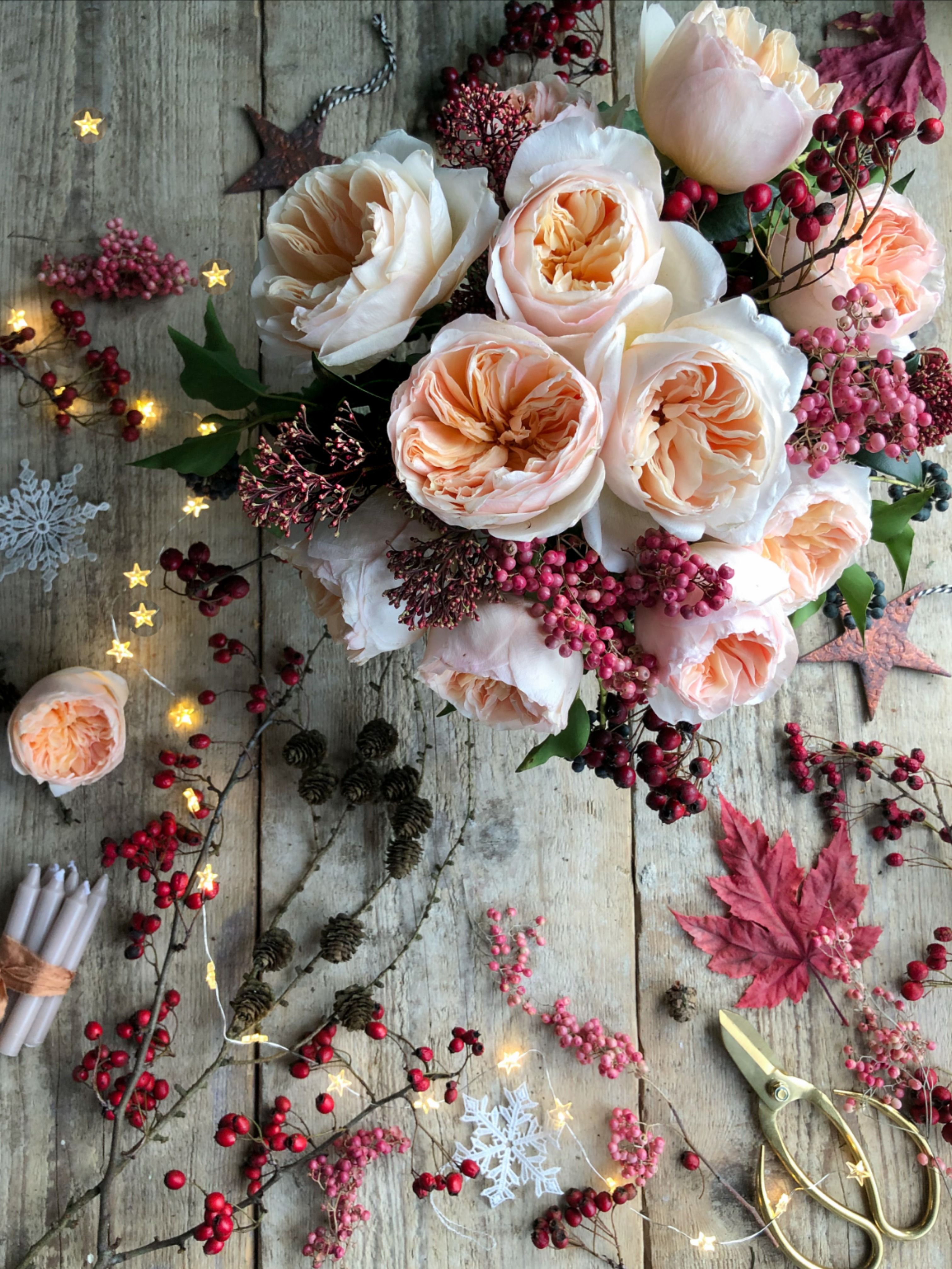 Juliet Rose Wallpapers - Wallpaper Cave