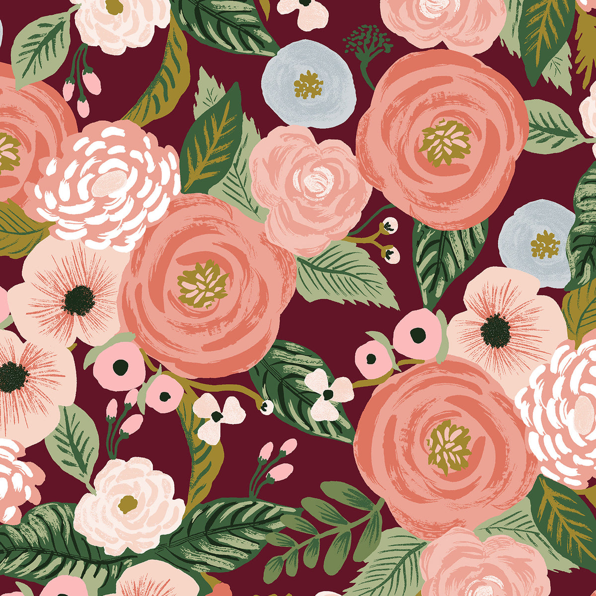 Juliet Rose Wallpapers - Wallpaper Cave