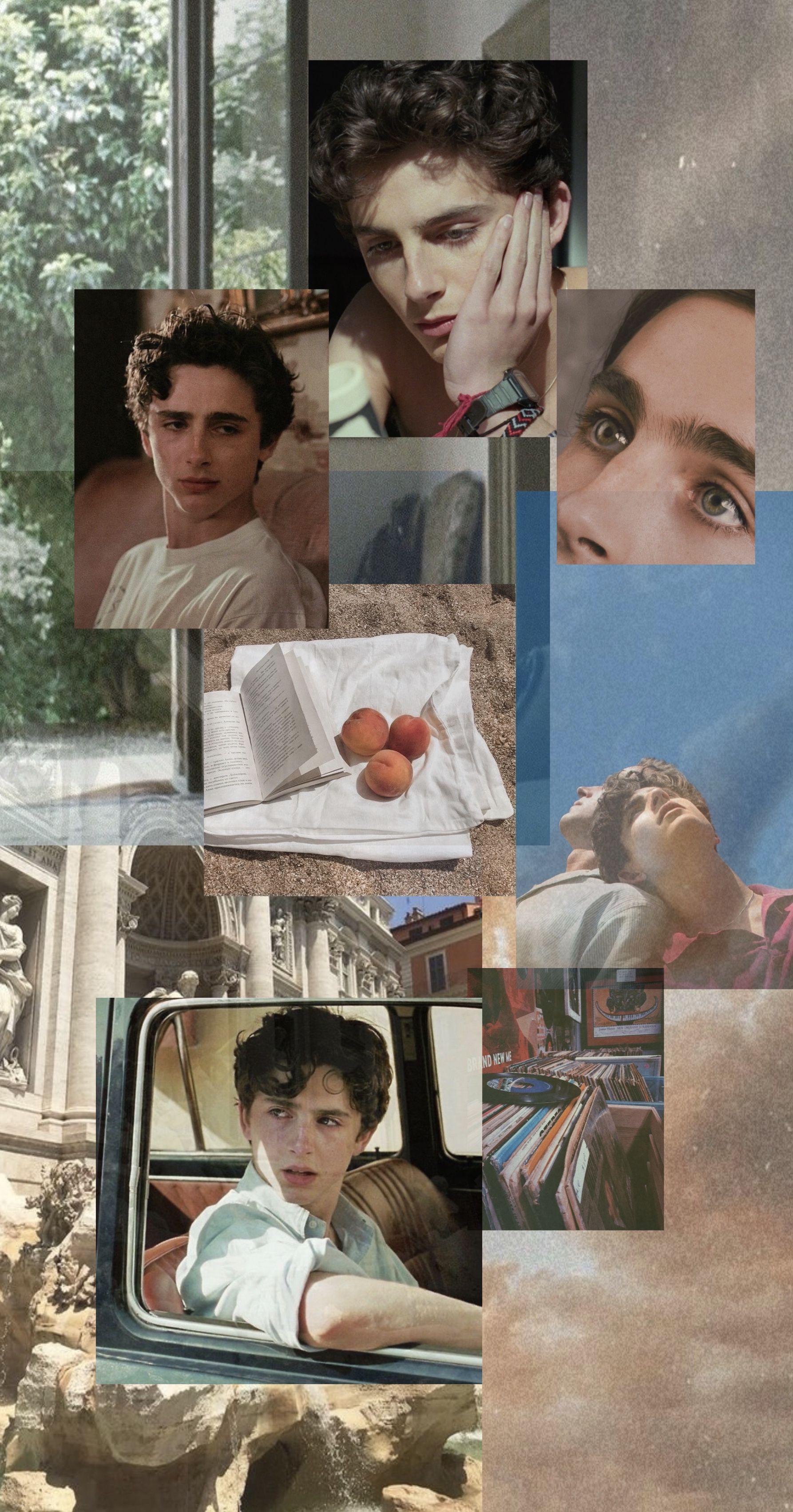 Timothée Chalamet Aesthetic Phone Wallpapers - Wallpaper Cave