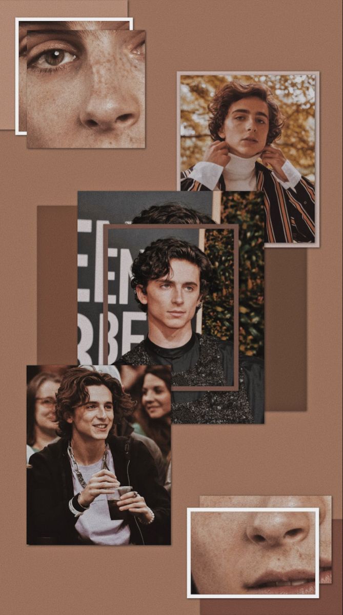 Timothée Chalamet Aesthetic Phone Wallpapers - Wallpaper Cave
