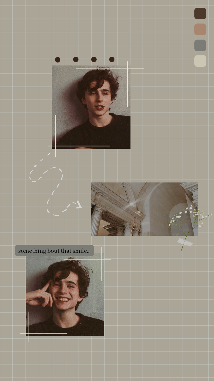 Timothée Chalamet Aesthetic Phone Wallpapers - Wallpaper Cave