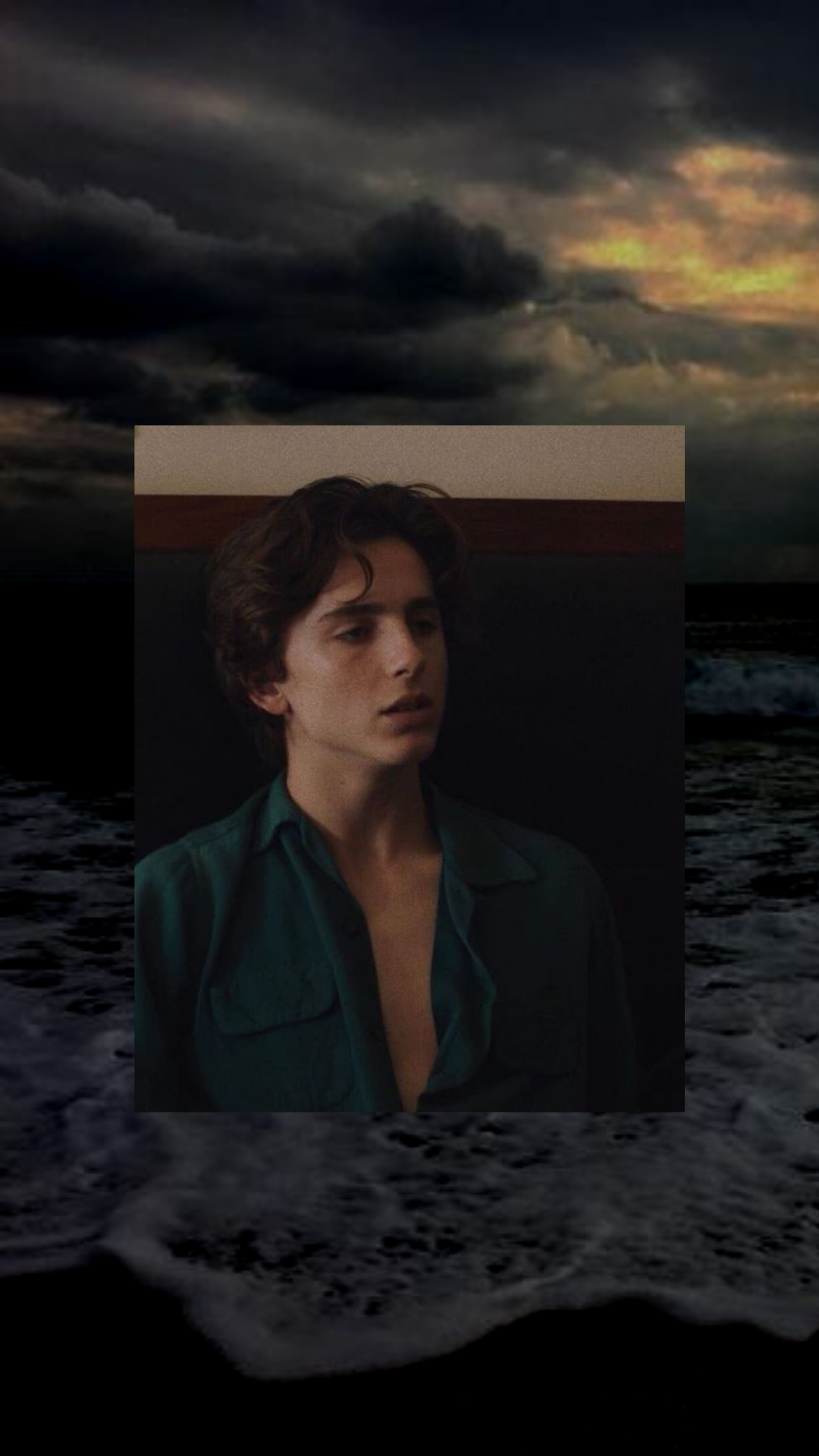 Timothée Chalamet Aesthetic Phone Wallpapers - Wallpaper Cave
