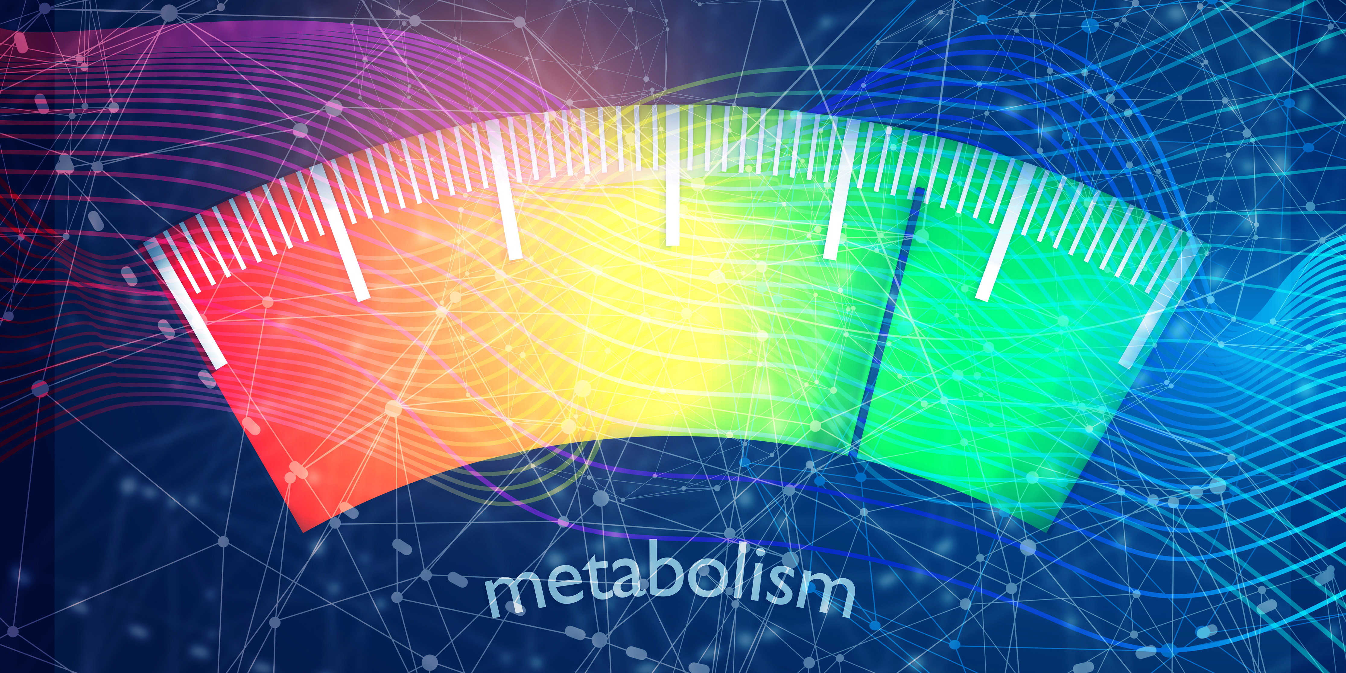 Metabolism Wallpapers - Wallpaper Cave