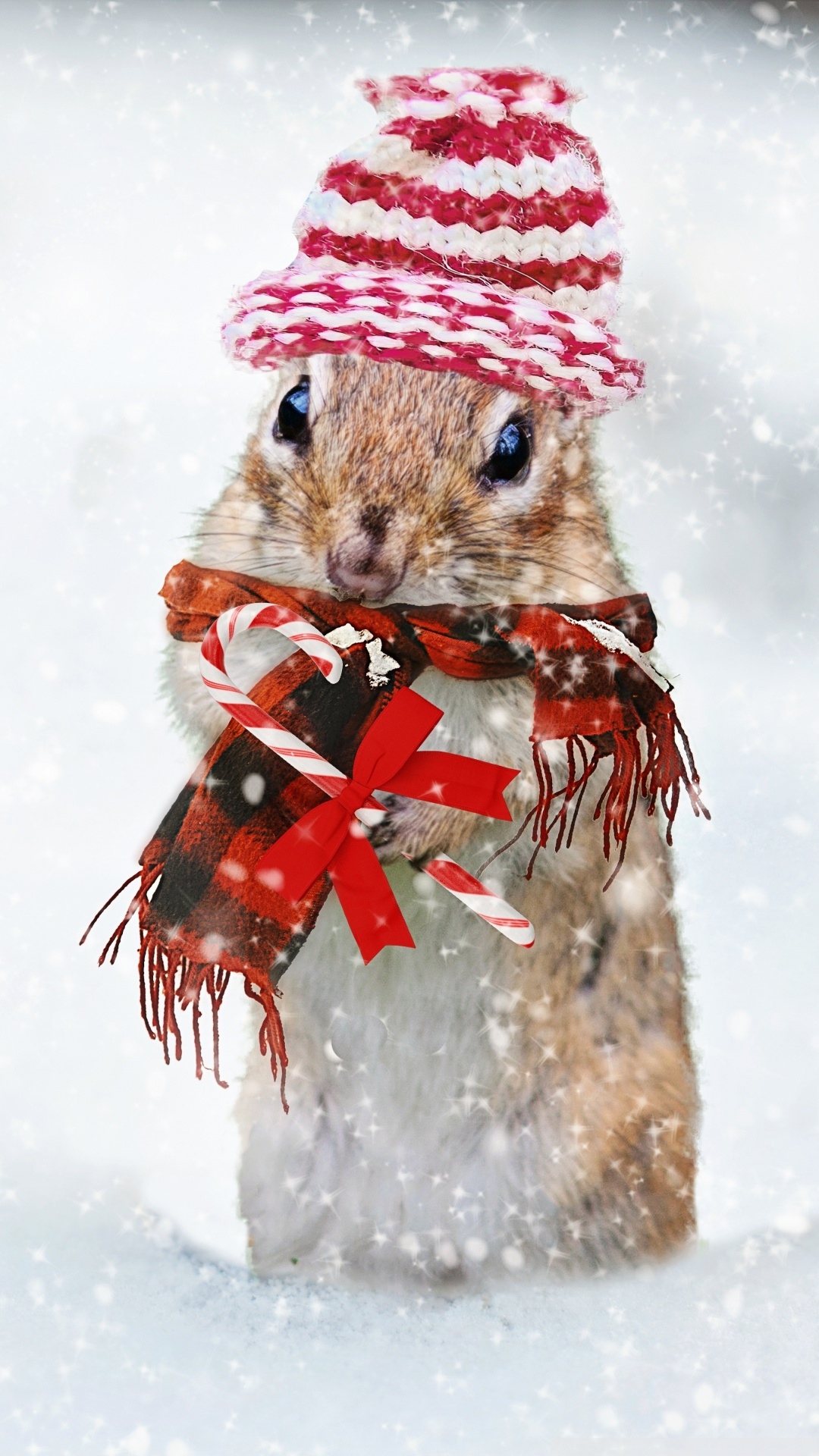 Christmas Squirrel Wallpapers - Wallpaper Cave