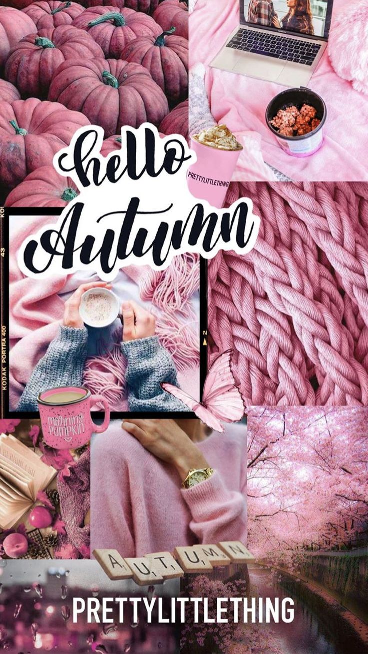 Fall Pink Wallpapers - Wallpaper Cave