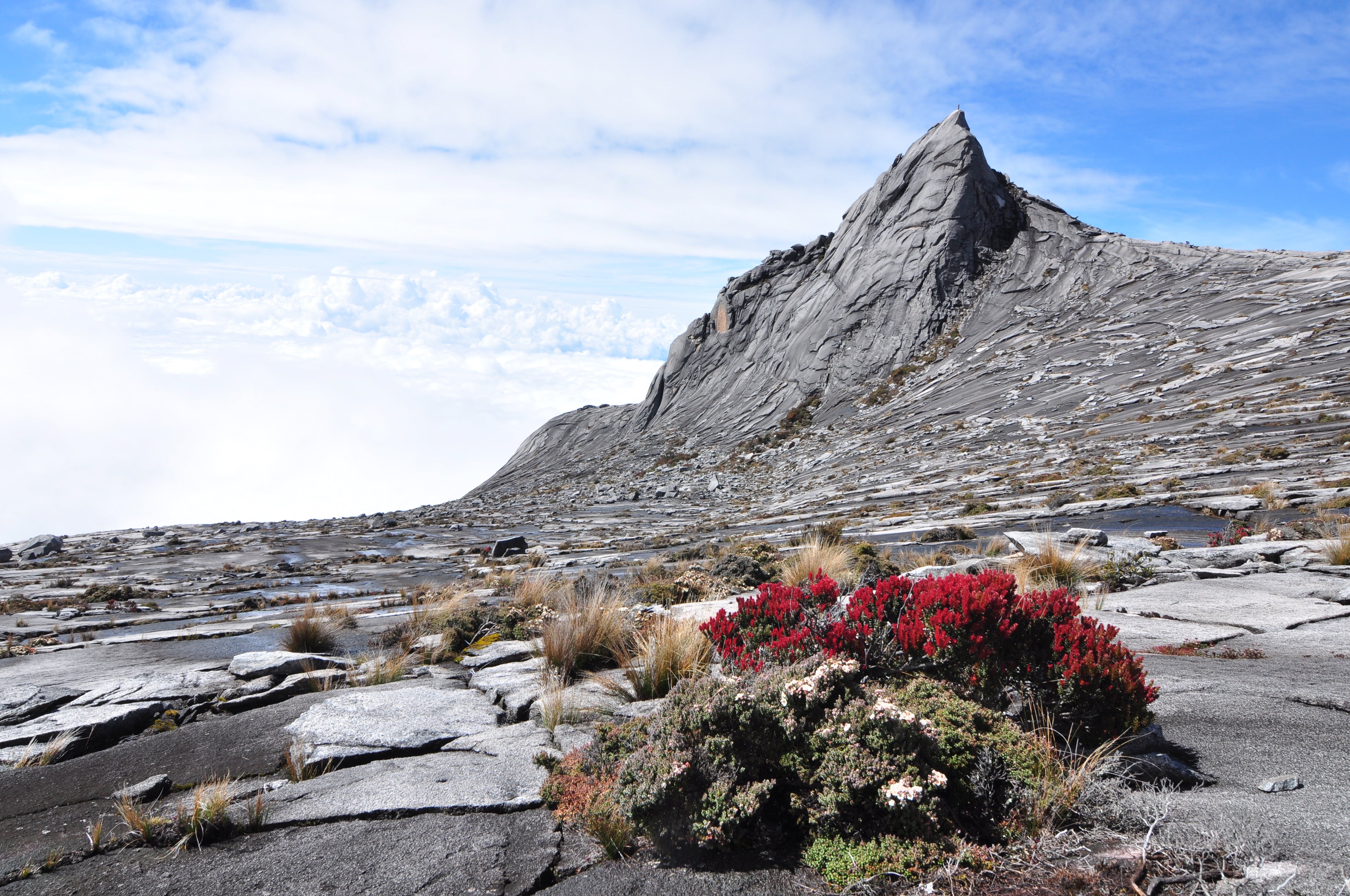 Mount Kinabalu Wallpapers - Wallpaper Cave