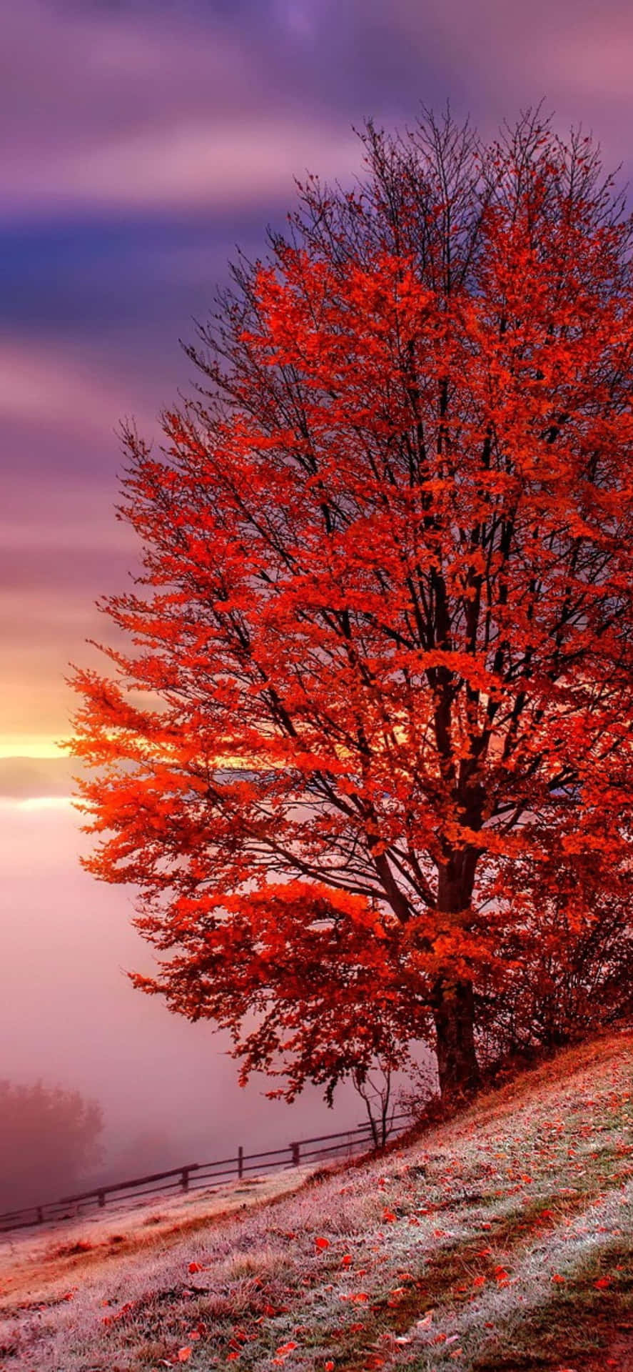 Warm iPhone Wallpapers - Wallpaper Cave