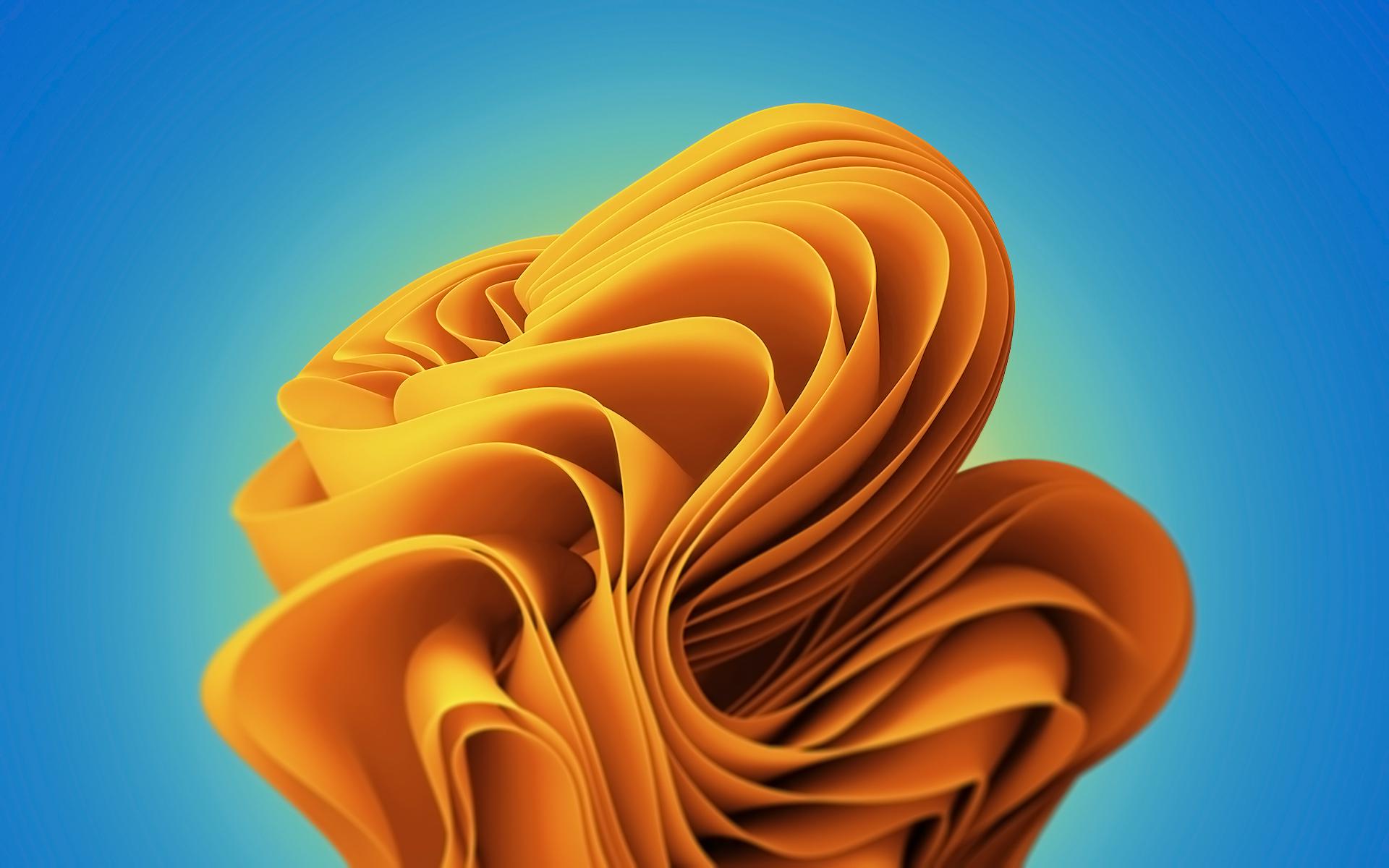 Windows 11 Bloom Wallpapers - Wallpaper Cave