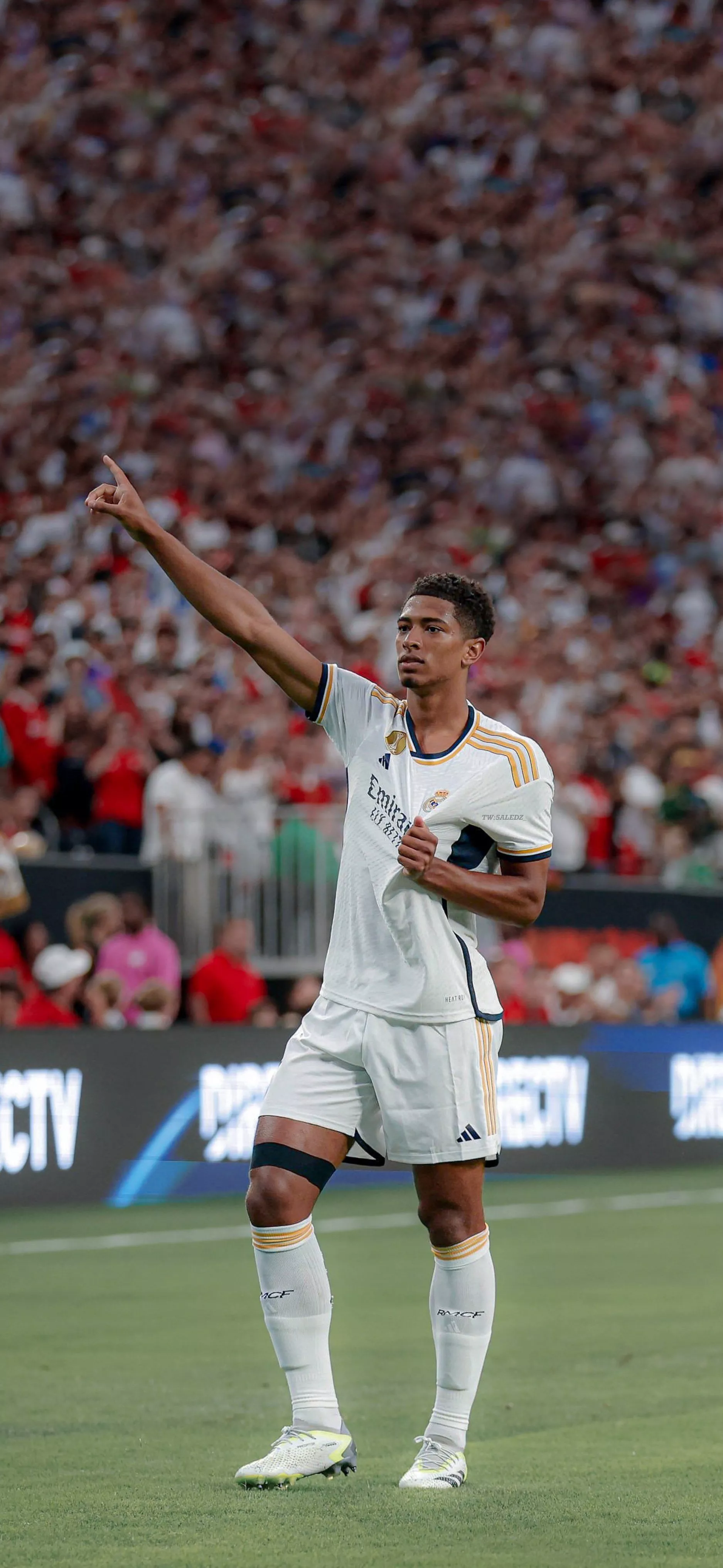 Bellingham Celebration Wallpapers - Wallpaper Cave