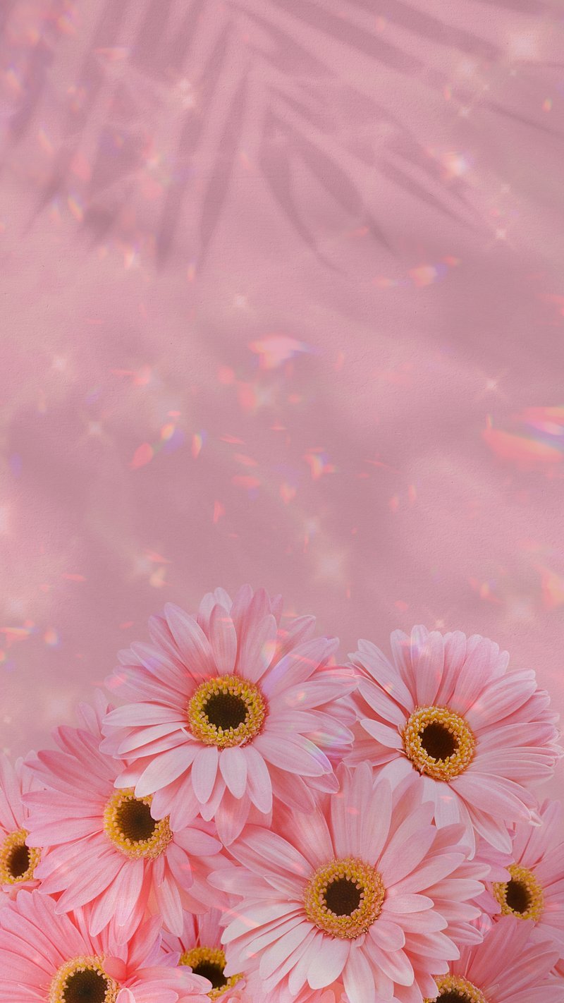 iPhone 4k Pink Wallpapers - Wallpaper Cave