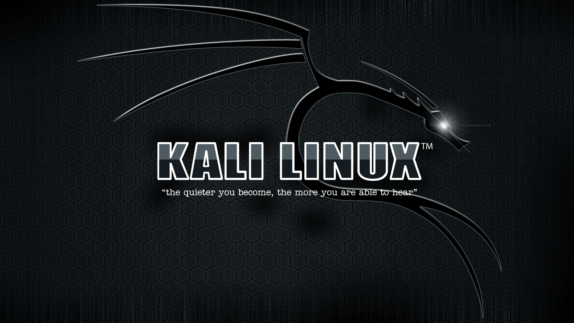 Kali Linux Logo Wallpapers - Wallpaper Cave