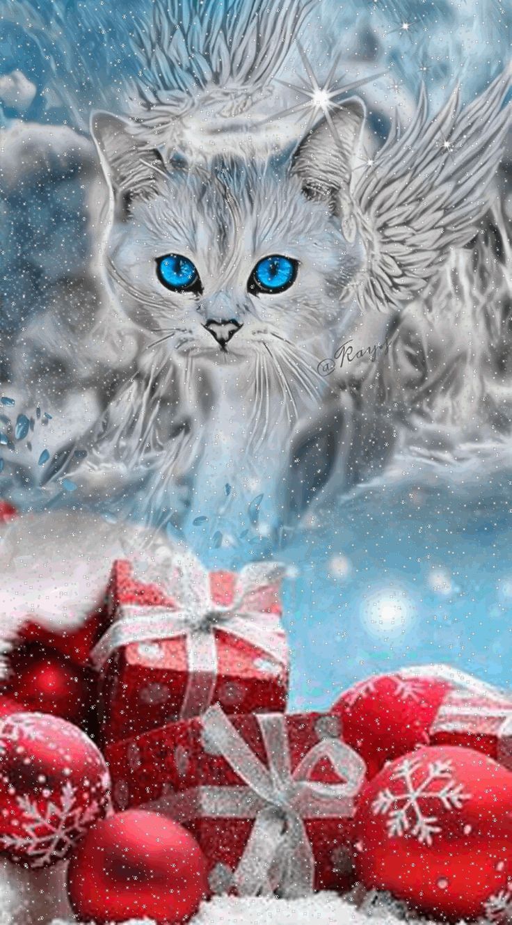 December Cats Wallpapers - Wallpaper Cave