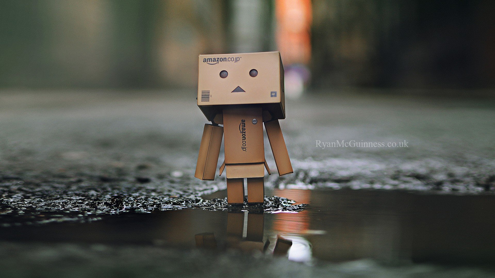 Danboard Wallpaper Color