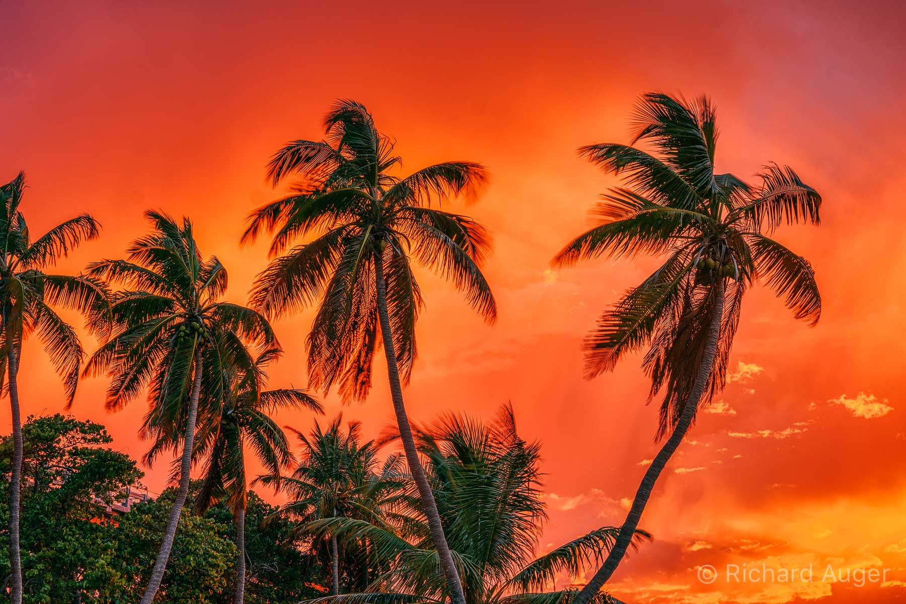 Florida Sunset Wallpapers - Wallpaper Cave