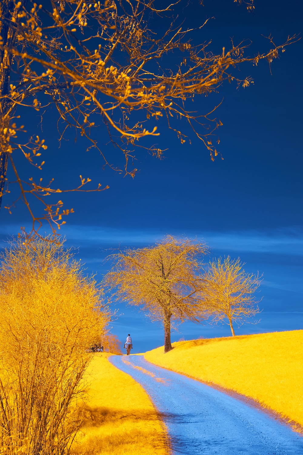 Yellow Spring Road Wallpapers - Wallpaper Cave