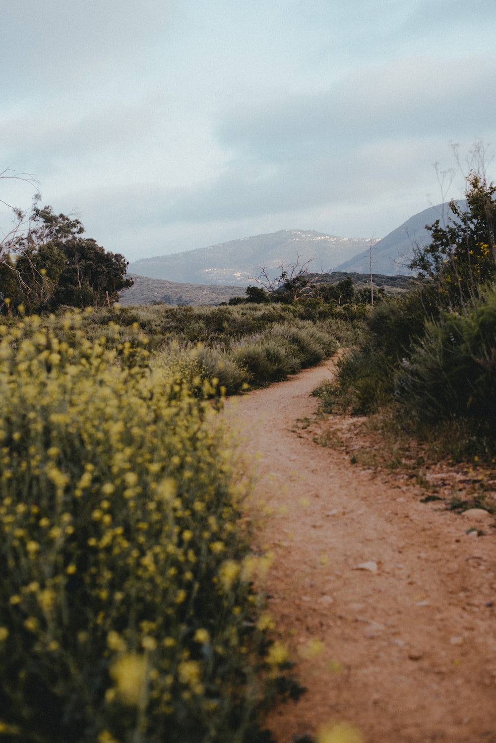 Yellow Spring Road Wallpapers - Wallpaper Cave