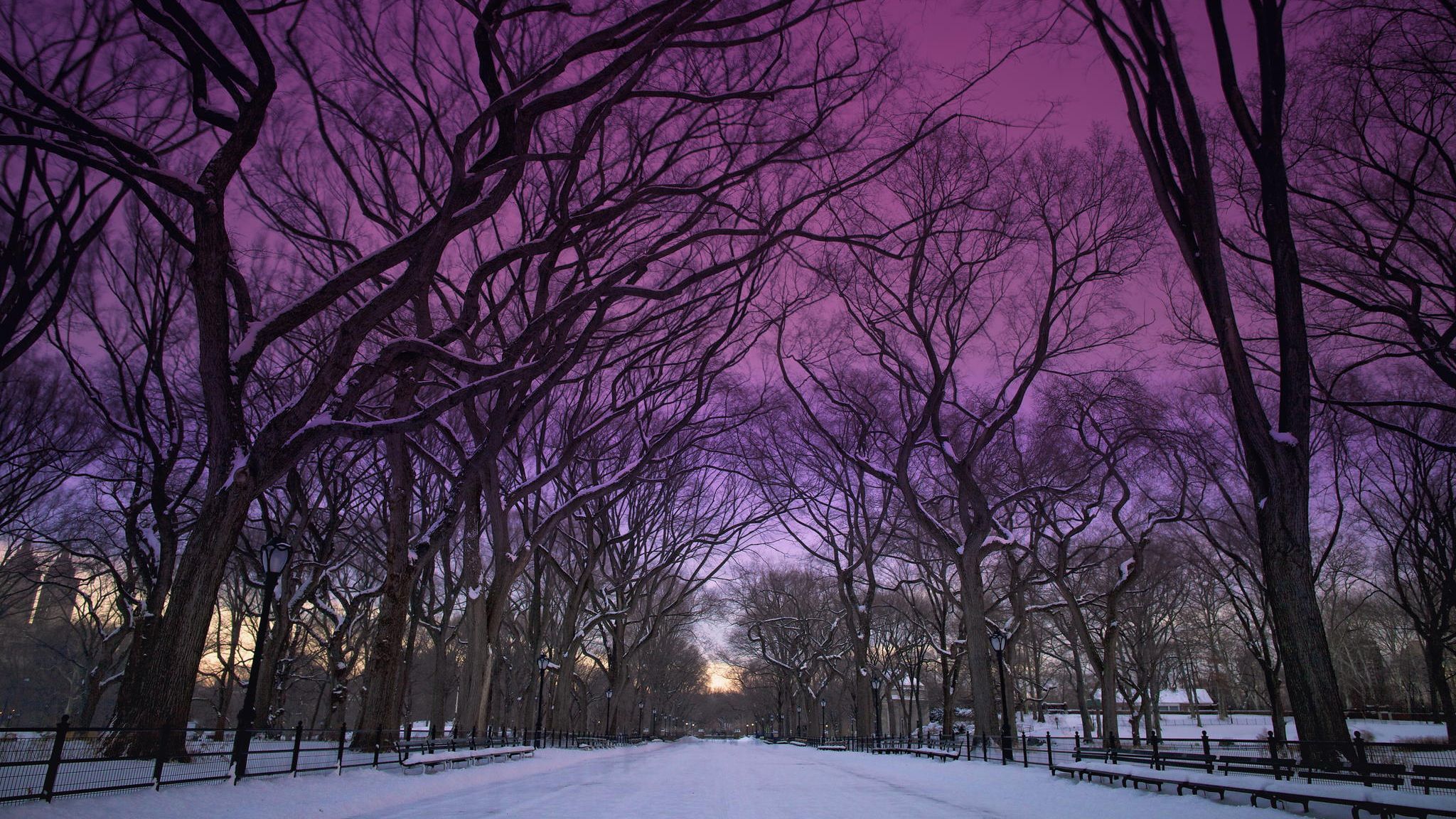 Purple Winter Drive Wallpapers - Wallpaper Cave