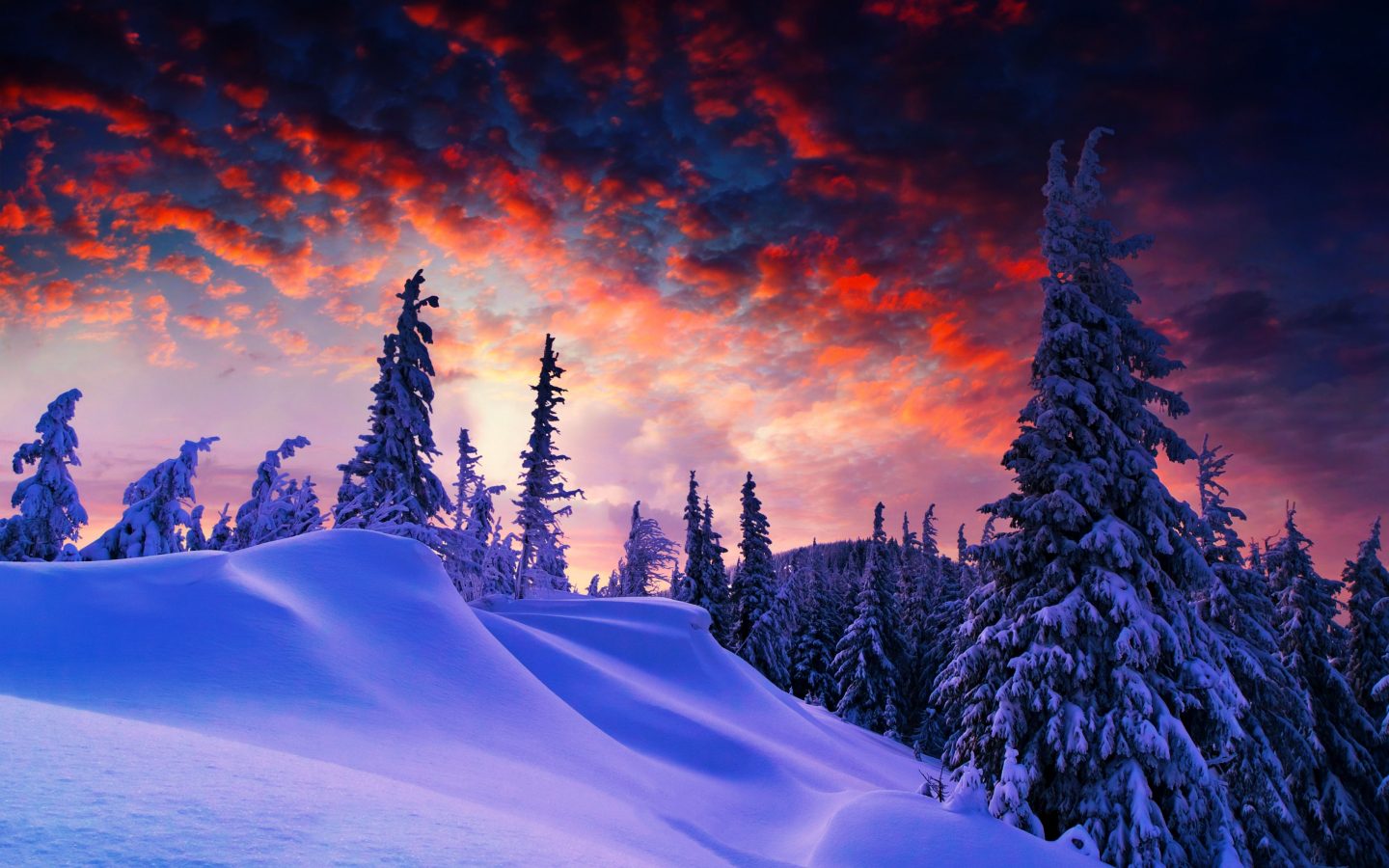 1440x900 Winter HD Wallpapers - Wallpaper Cave